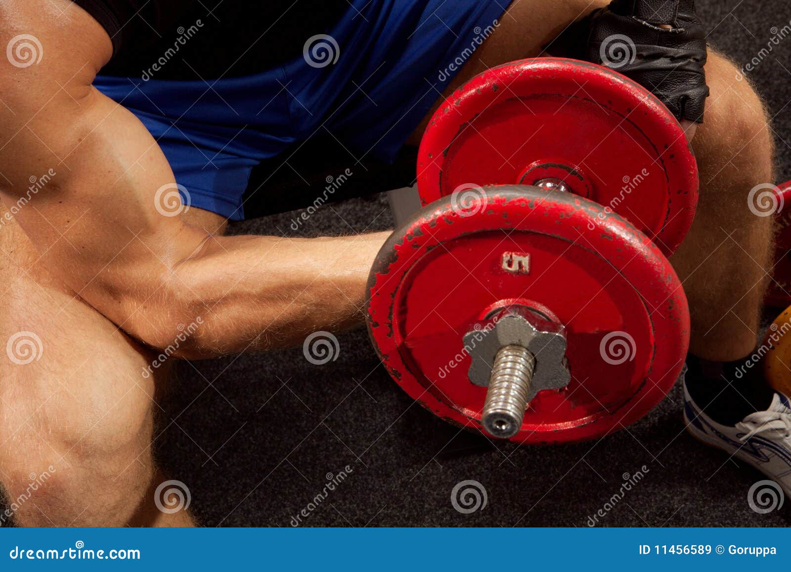 Weightlifting stock image. Image of exercises, muscles - 11456589