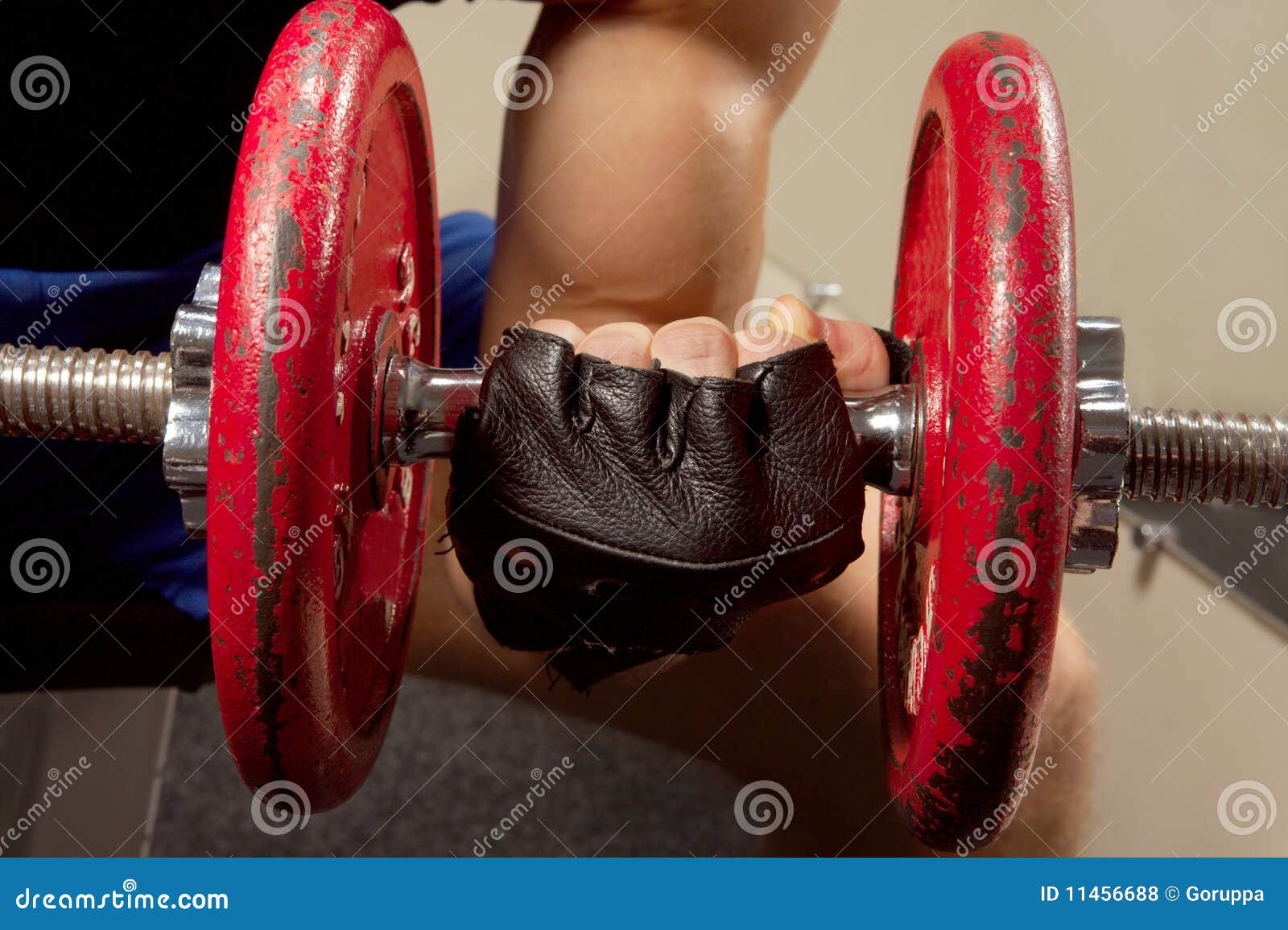 Weightlifting stock photo. Image of athlete, indoors - 11456688