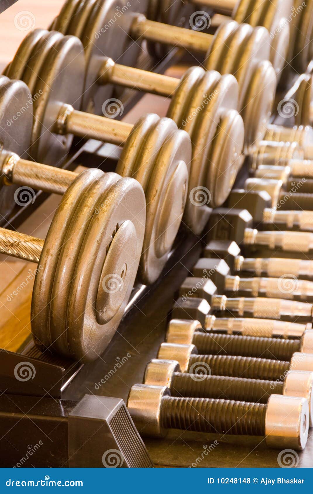 Weights stock photo. Image of iron, build, vertical, sport - 10248148