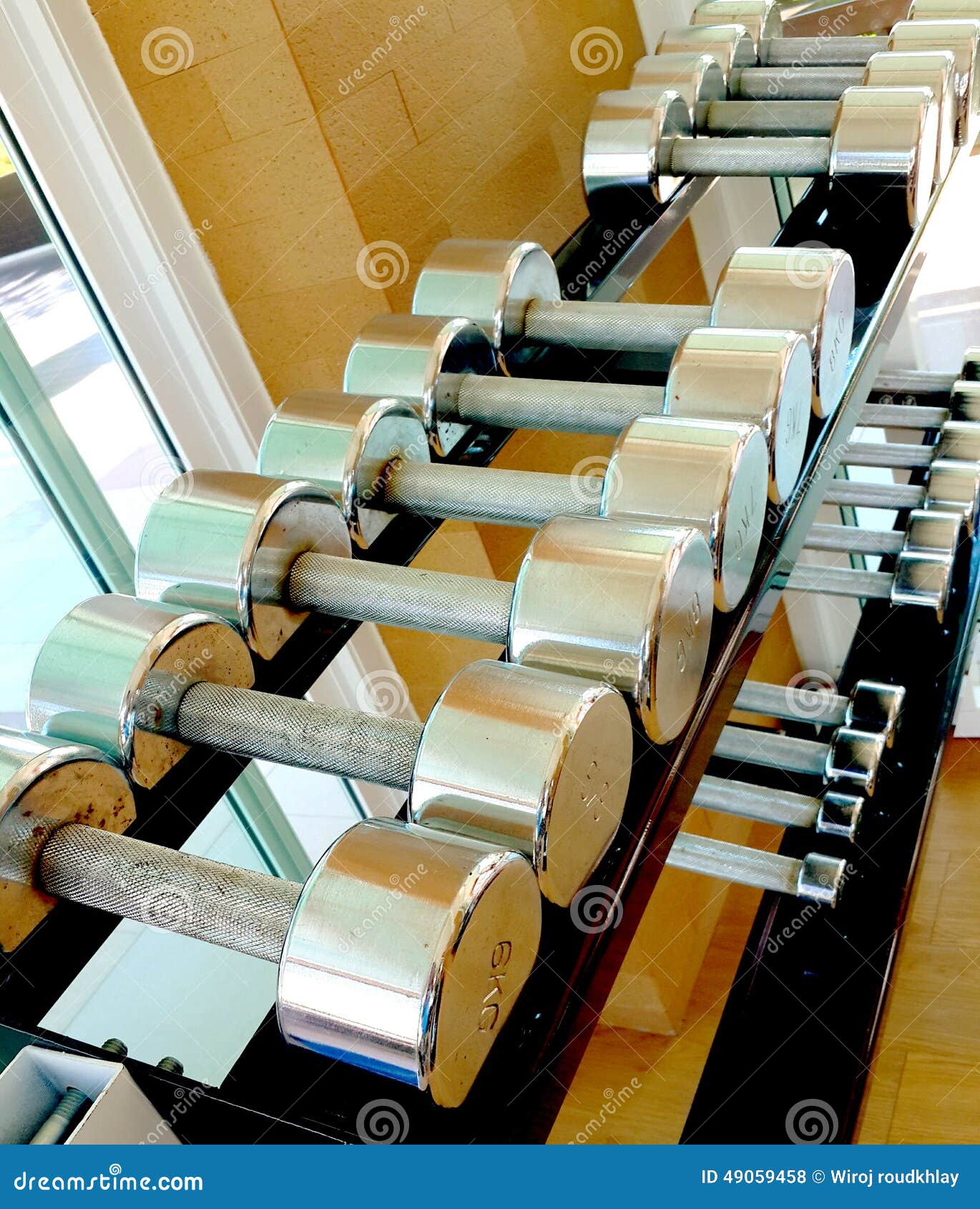 Weights lifting stock photo. Image of fitness, healthy - 49059458