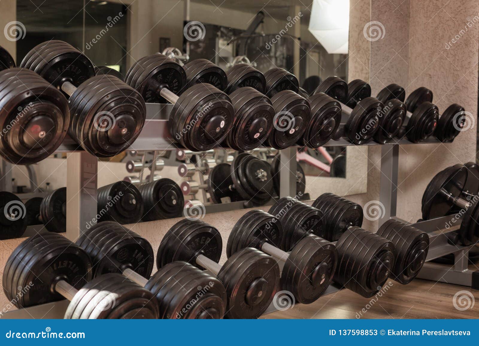 Weights are in a Row in the Gym Stock Image - Image of healthy, heavy ...