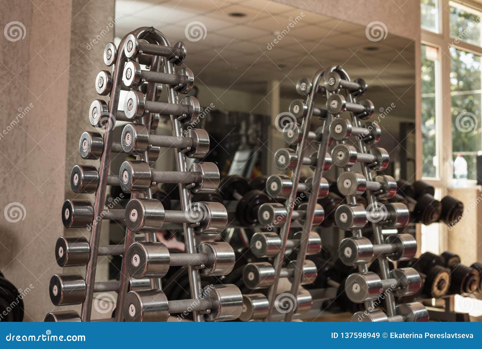 Weights are in a Row in the Gym Stock Image - Image of muscular ...