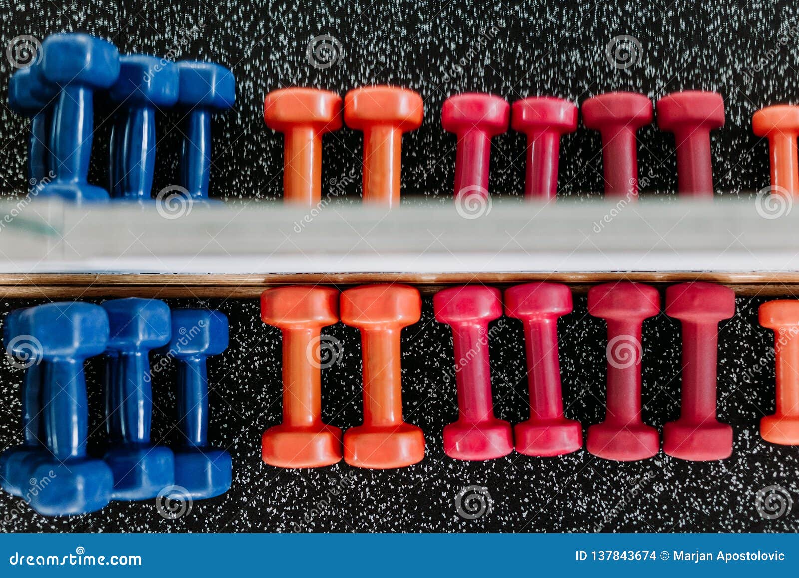 Weights in a row in a gym stock photo. Image of body - 137843674