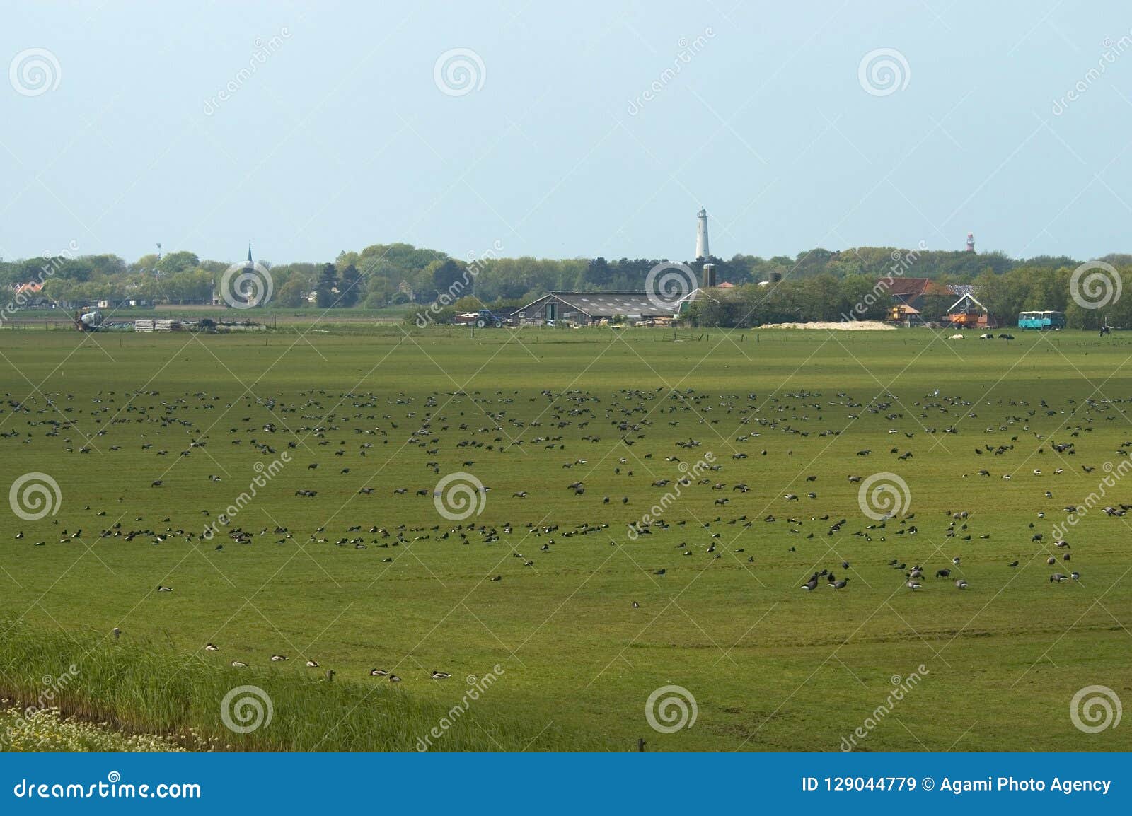 Weiland stock image. Image of marc, netherlands, nederland - 129044779