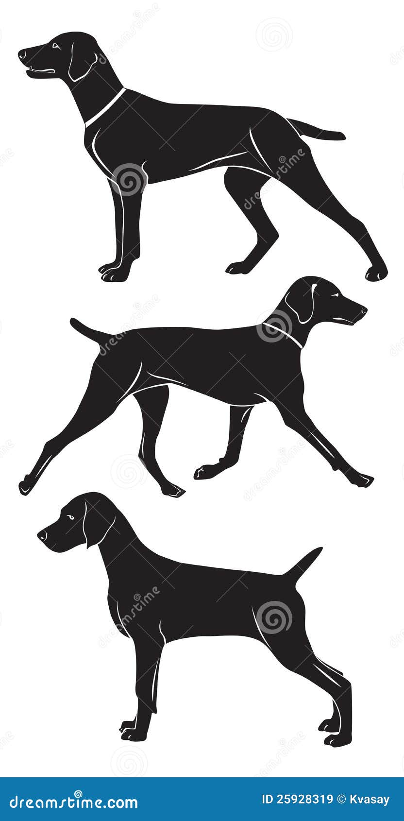 Weimaraner dog stock vector. Illustration of silhouette - 25928319