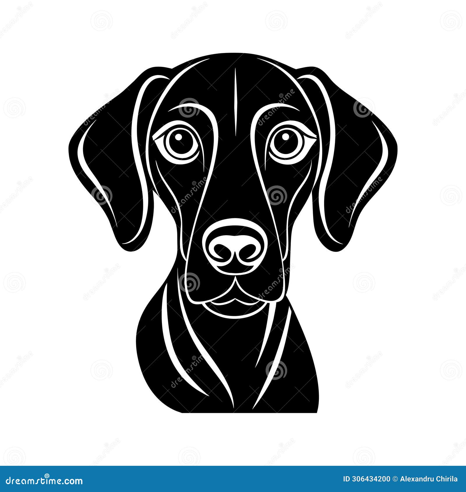 Weimaraner Graphic Vector EPS Stock Illustration - Illustration of ...
