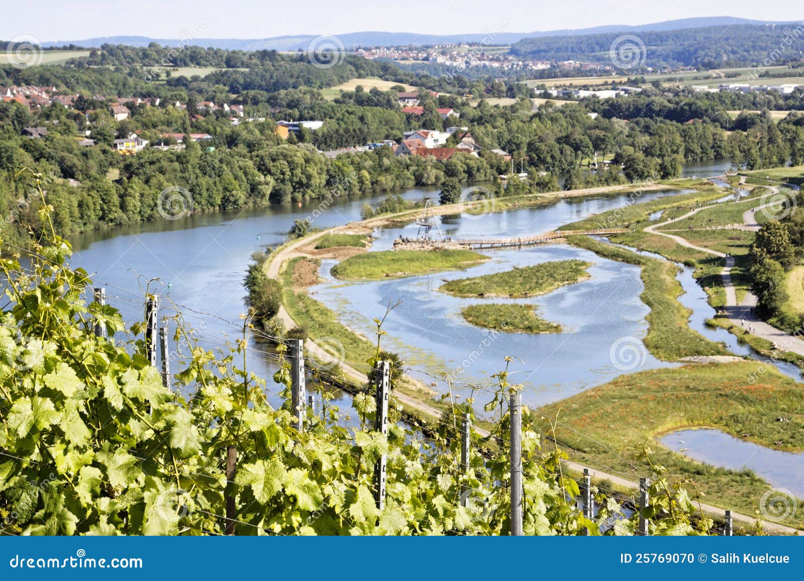 Weinberg Und Der Fluss Neckar Stockfoto - Bild von betriebe, vorbehalt ...
