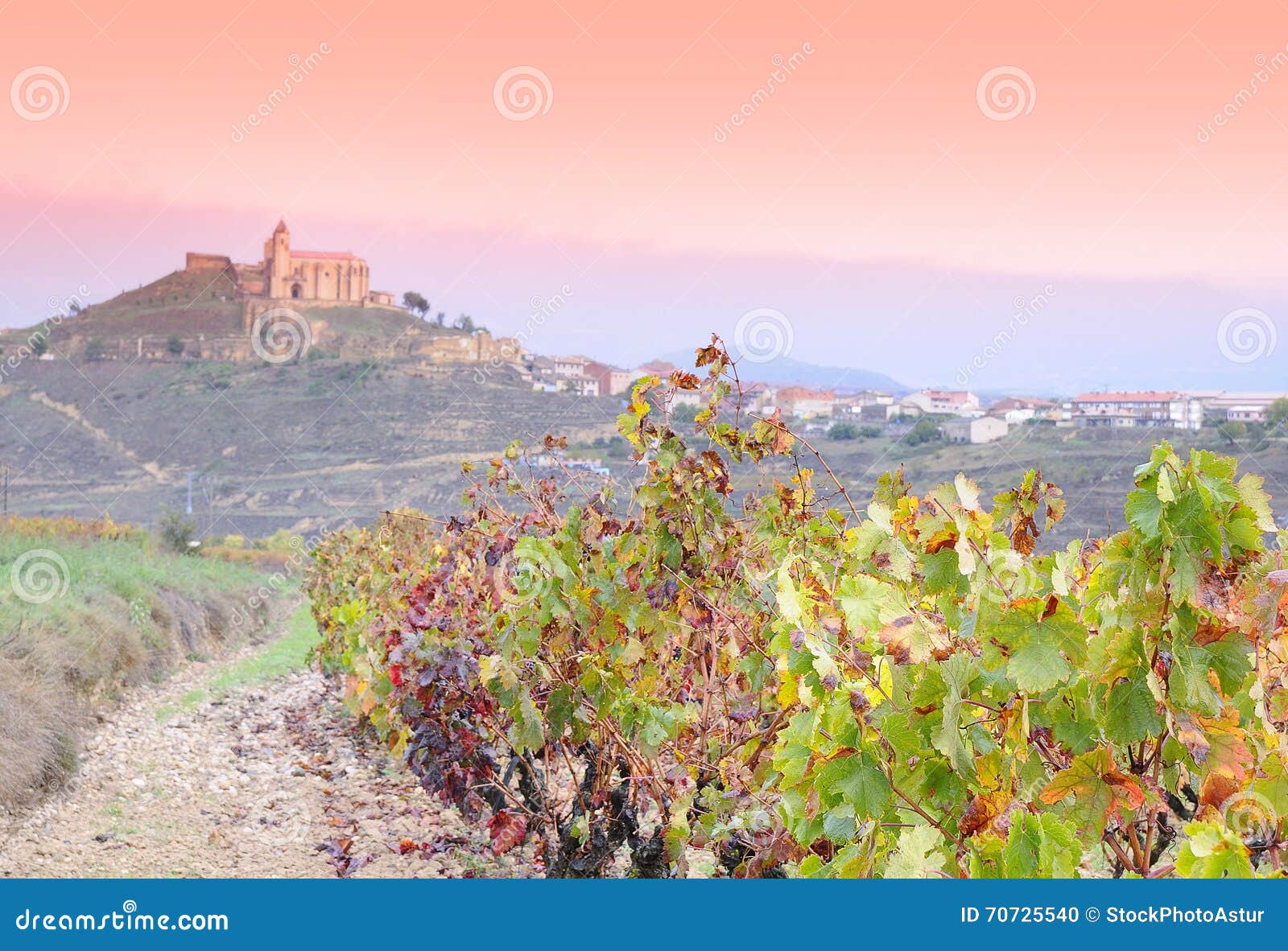 Weinberge in Rioja, Spanien Stockfoto - Bild von senke, gelb: 70725540