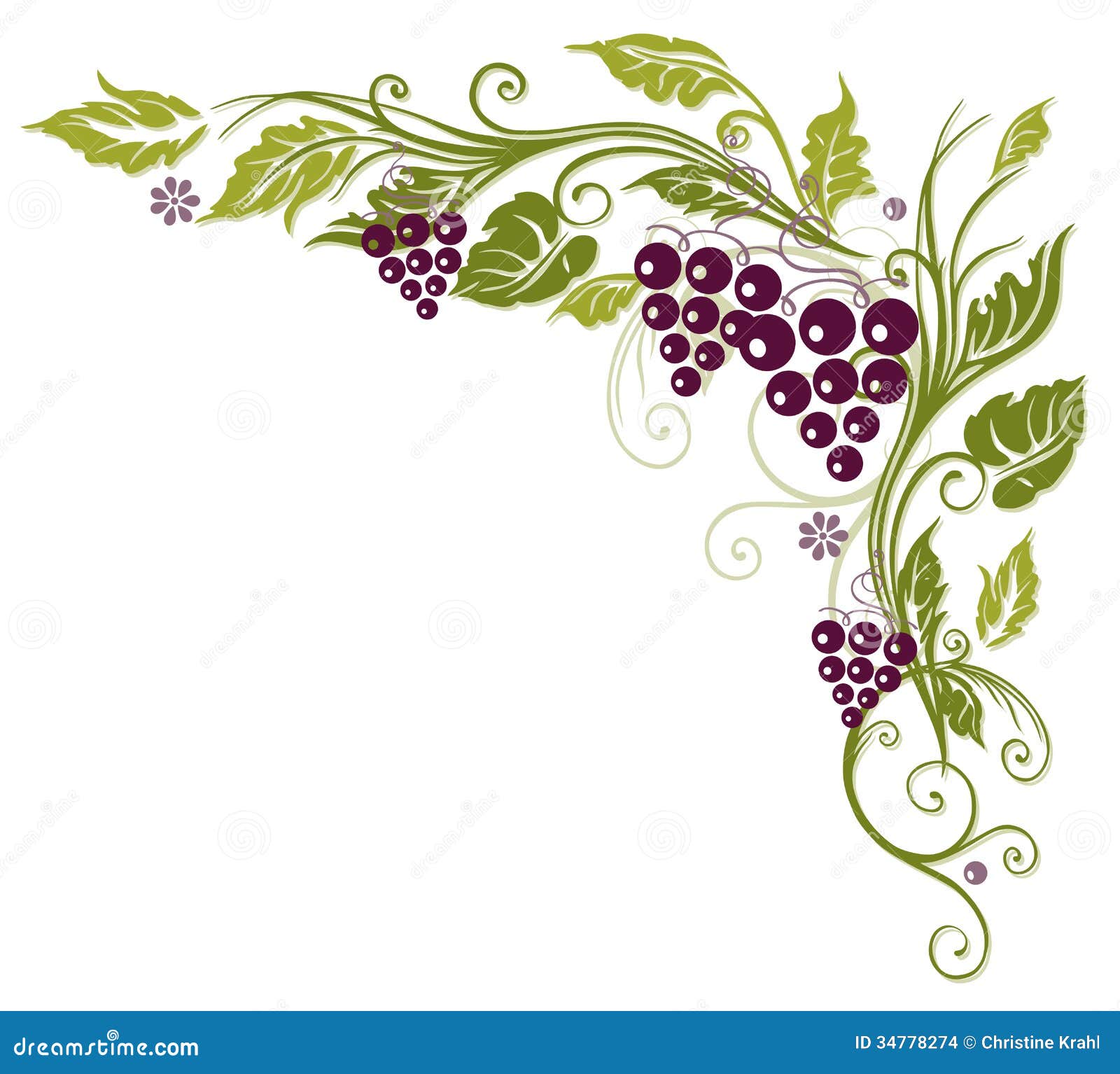 Weinblätter, Trauben vektor abbildung. Illustration von beere - 34778274
