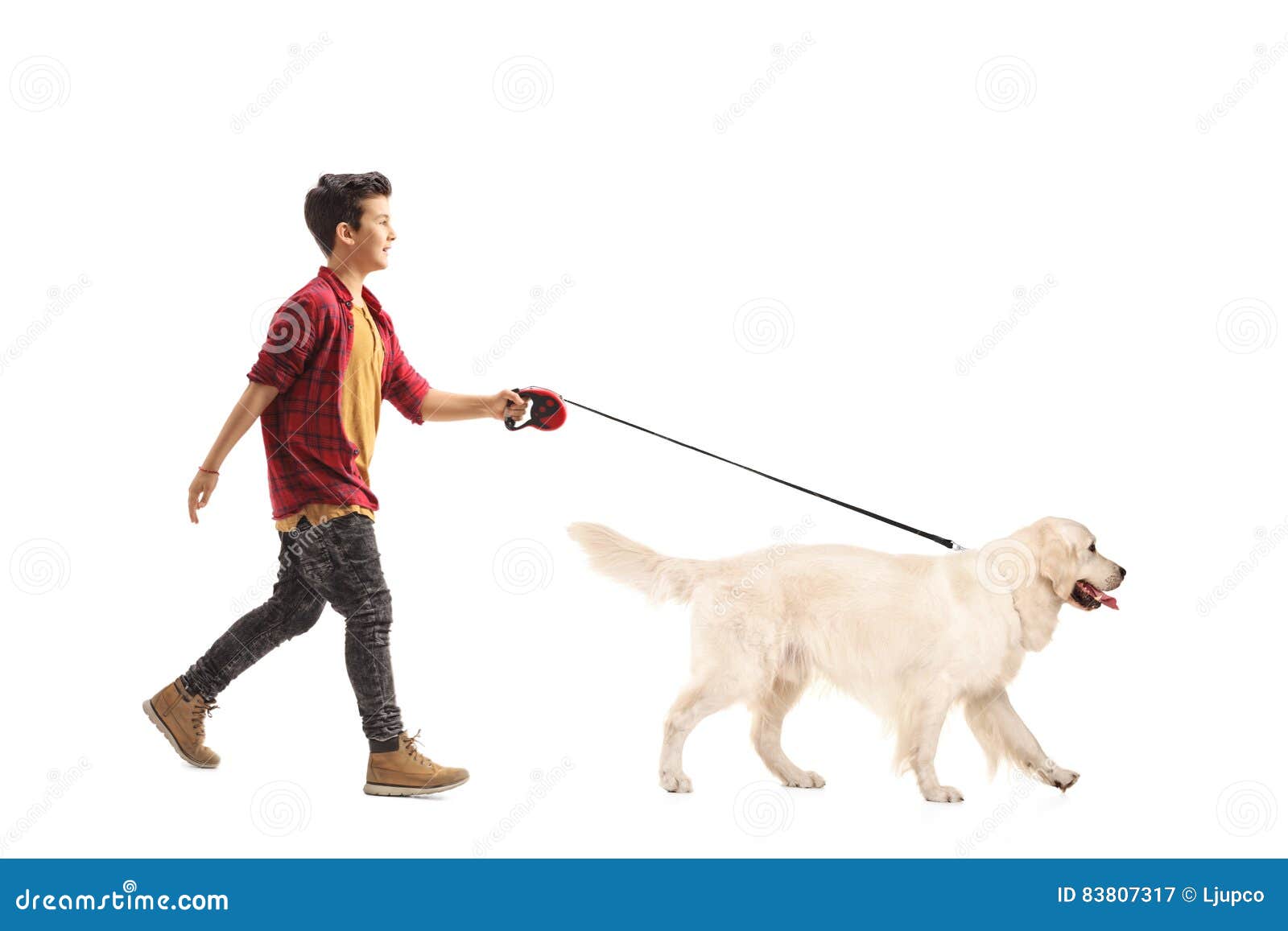 Weinig Jongen Die Een Hond Lopen Stock Afbeelding - Image of ...