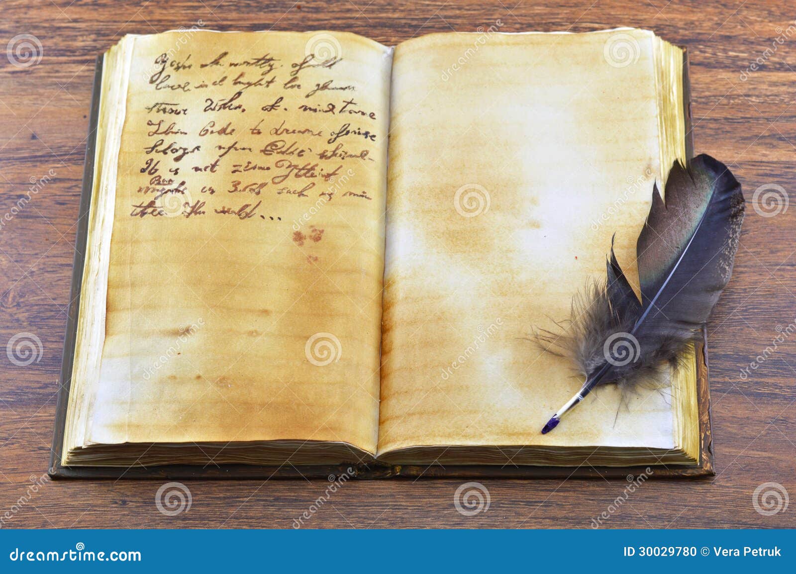 Altes Buch mit Feder 2 stockfoto. Bild von informationen - 30029780