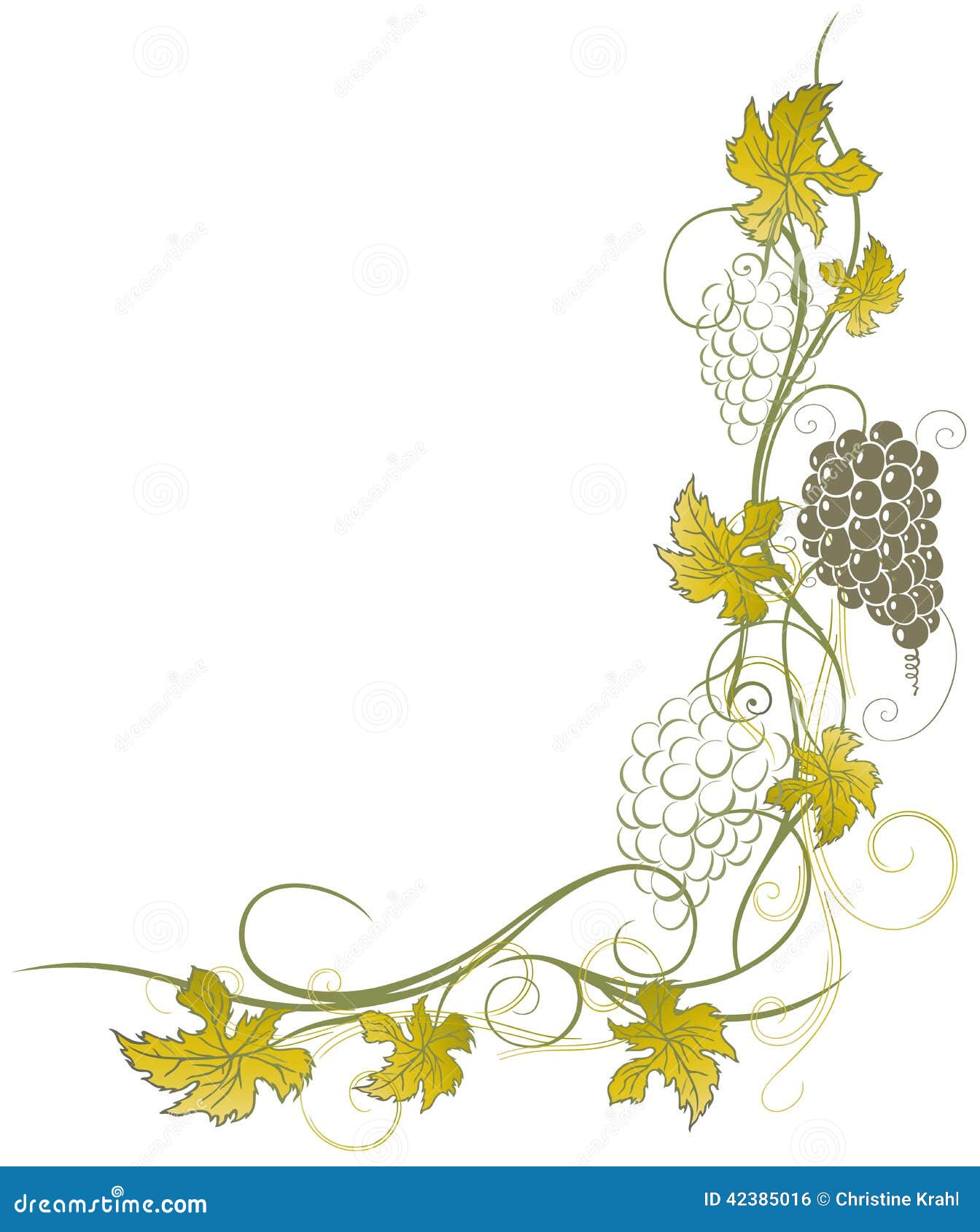 Weinreben vektor abbildung. Illustration von dekoration - 42385016