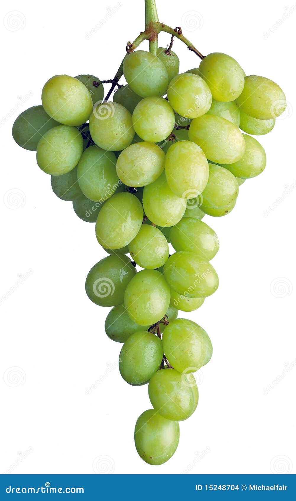 Weintraube stockfoto. Bild von exotisch, bündel, frisch - 15248704