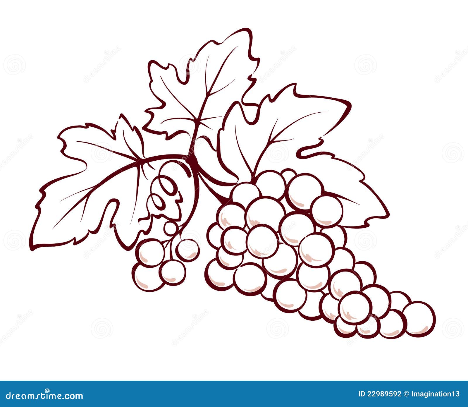 Weintraube vektor abbildung. Illustration von beere, bündel - 22989592