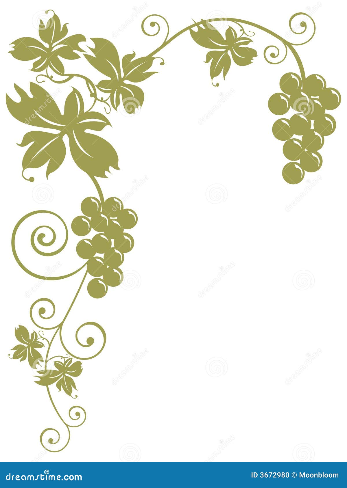 Weintrauben und Blätter vektor abbildung. Illustration von ernte - 3672980
