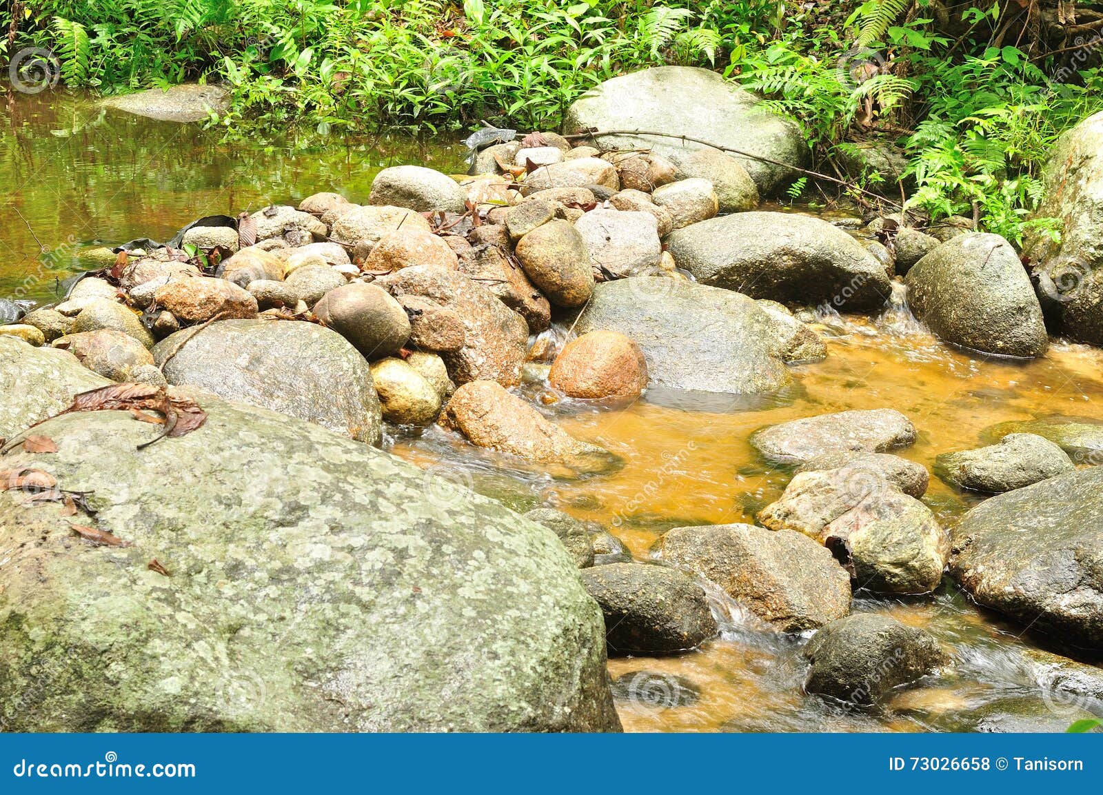 A Weir in Forest Stream, Thailand Stock Photo - Image of beautiful ...
