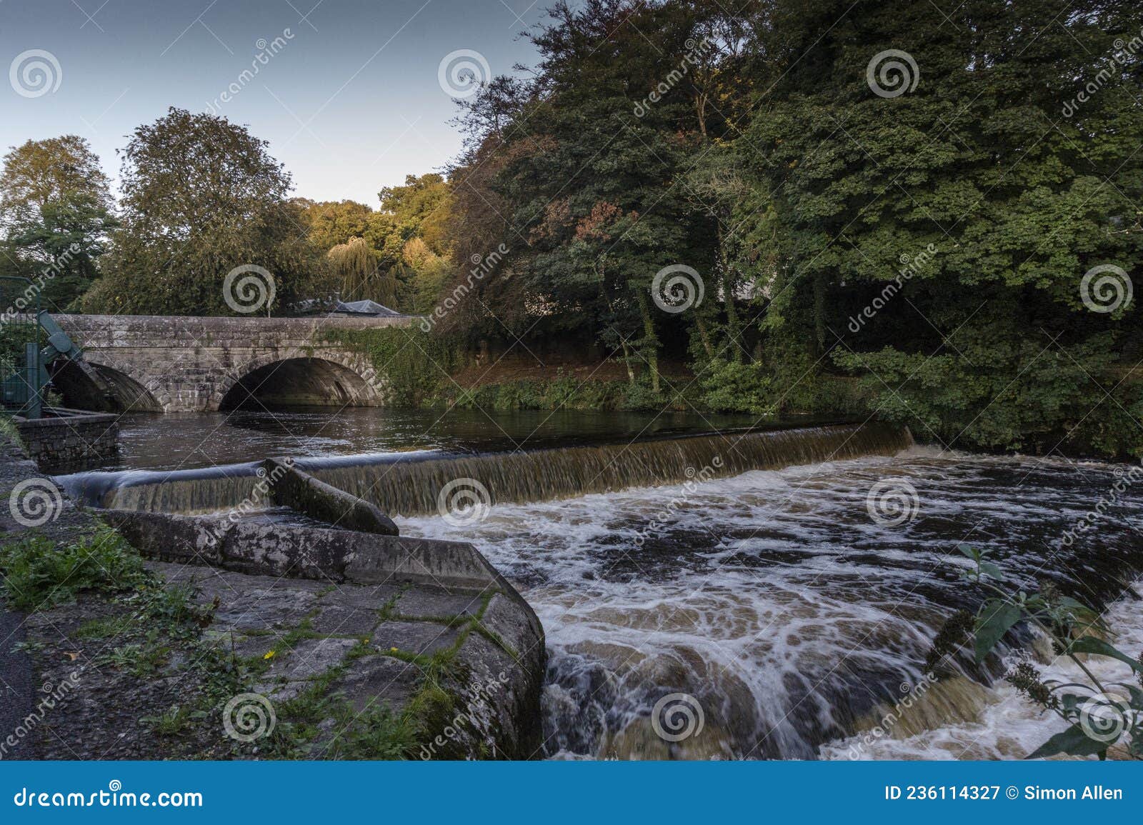 The Weir on the River Tavy at Tavistock Stock Image - Image of outdoor ...