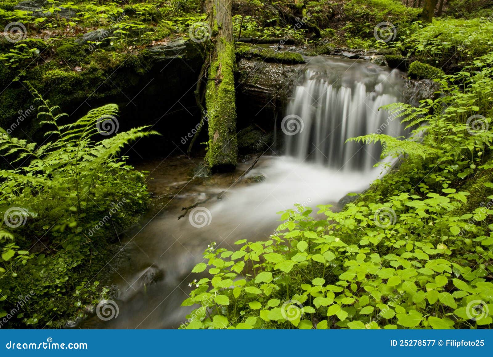 Weir on the stream stock image. Image of drop, environment - 25278577