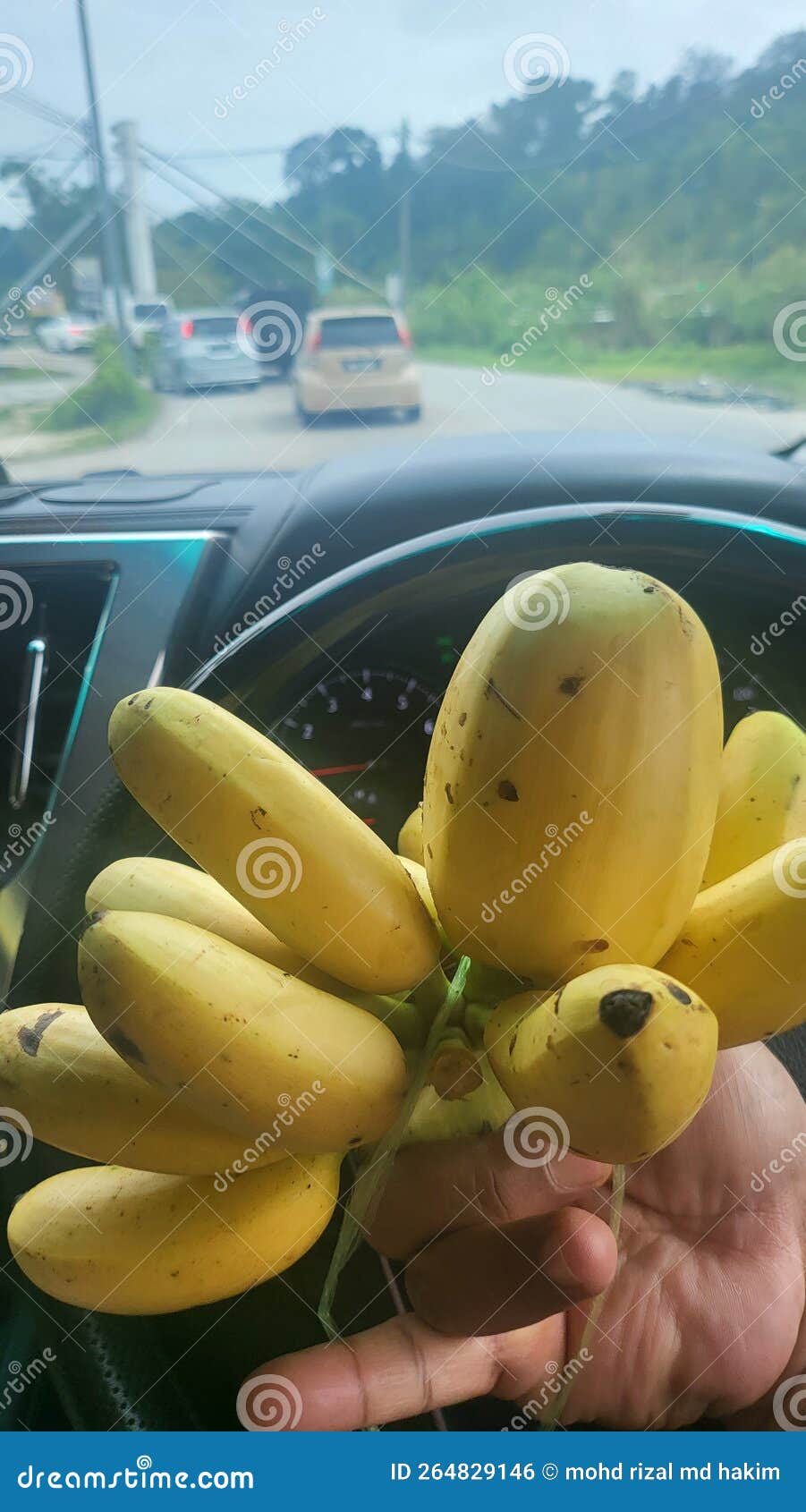 Weird Banana stock photo. Image of tree, cuisine, dessert - 264829146