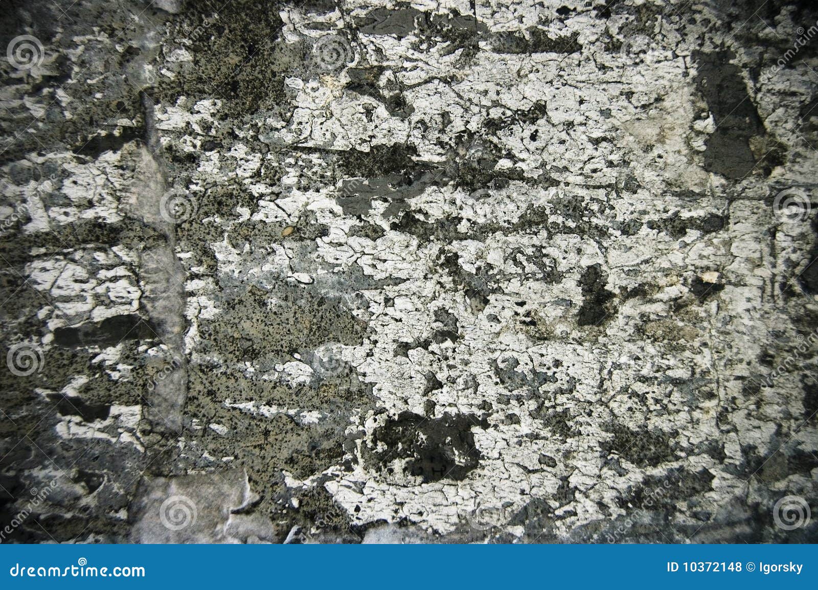 Weird cement surface stock photo. Image of ancient, bronze - 10372148