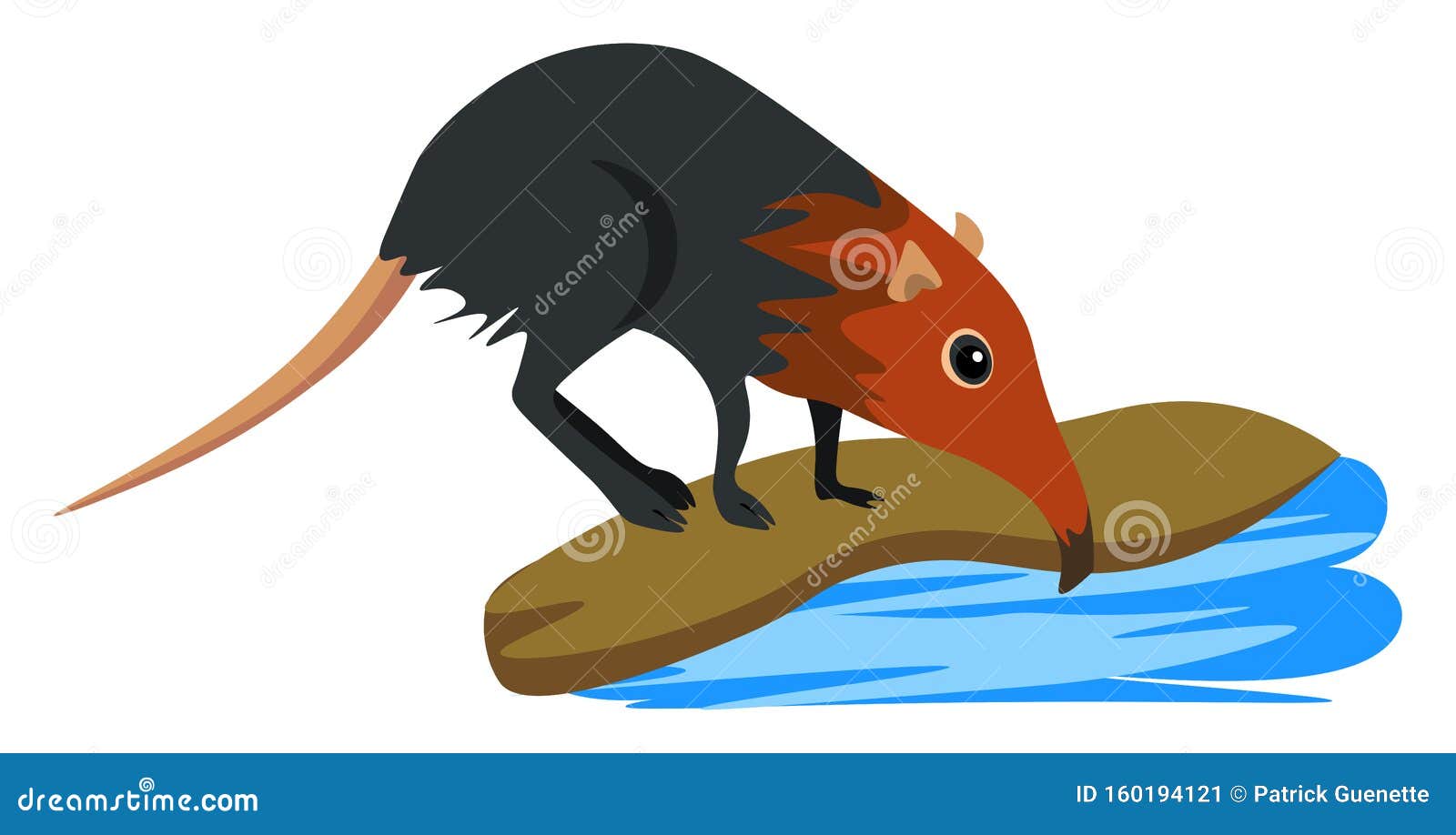 Weird Rat, Illustration, Vector Stock Vector - Illustration of black ...