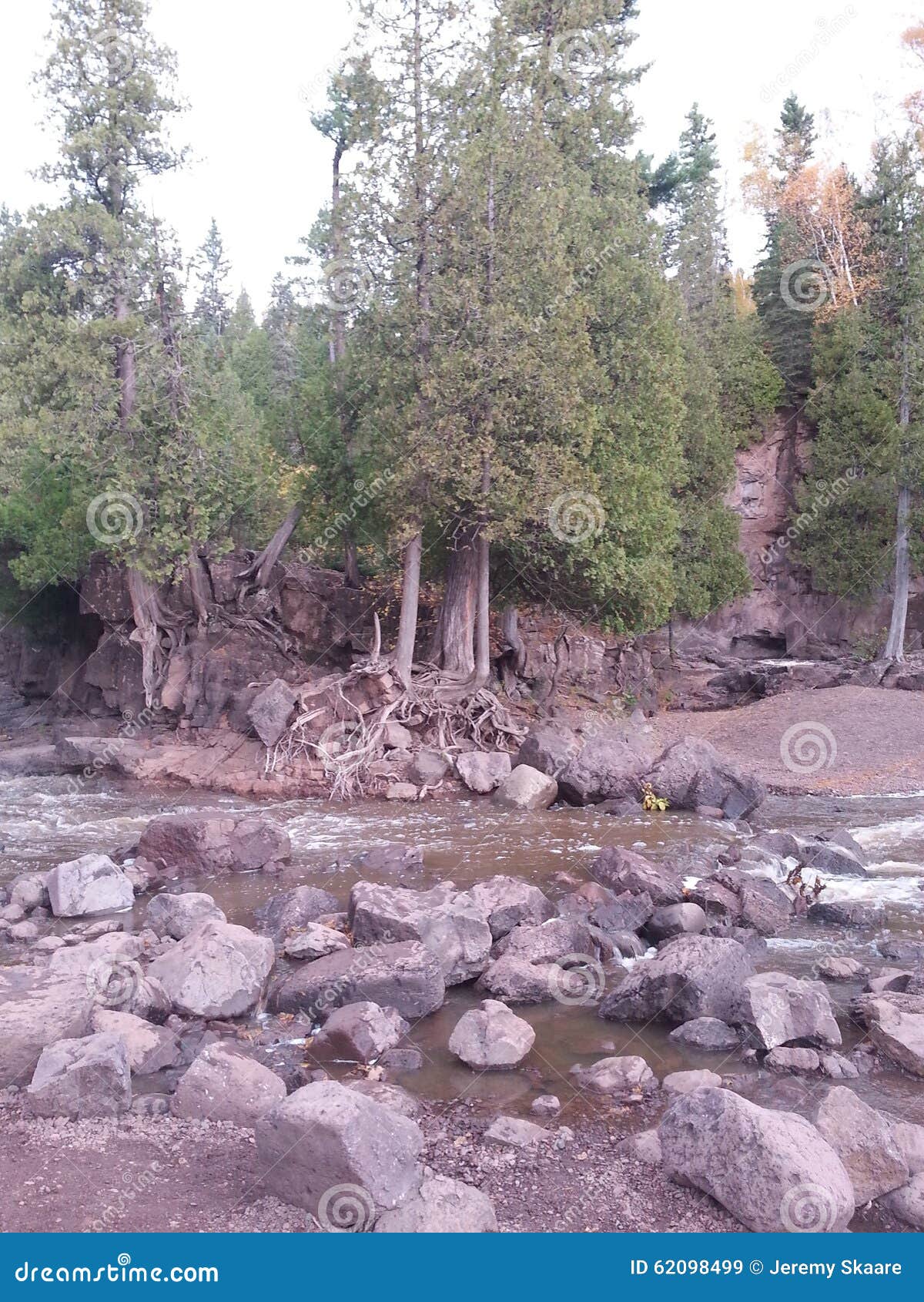 Weird roots stock image. Image of roots, crazy, scenic - 62098499