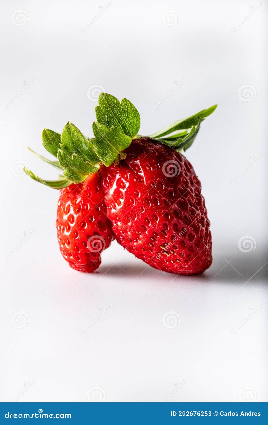 Weird Strawberry Isolated on White Background Stock Image - Image of ...