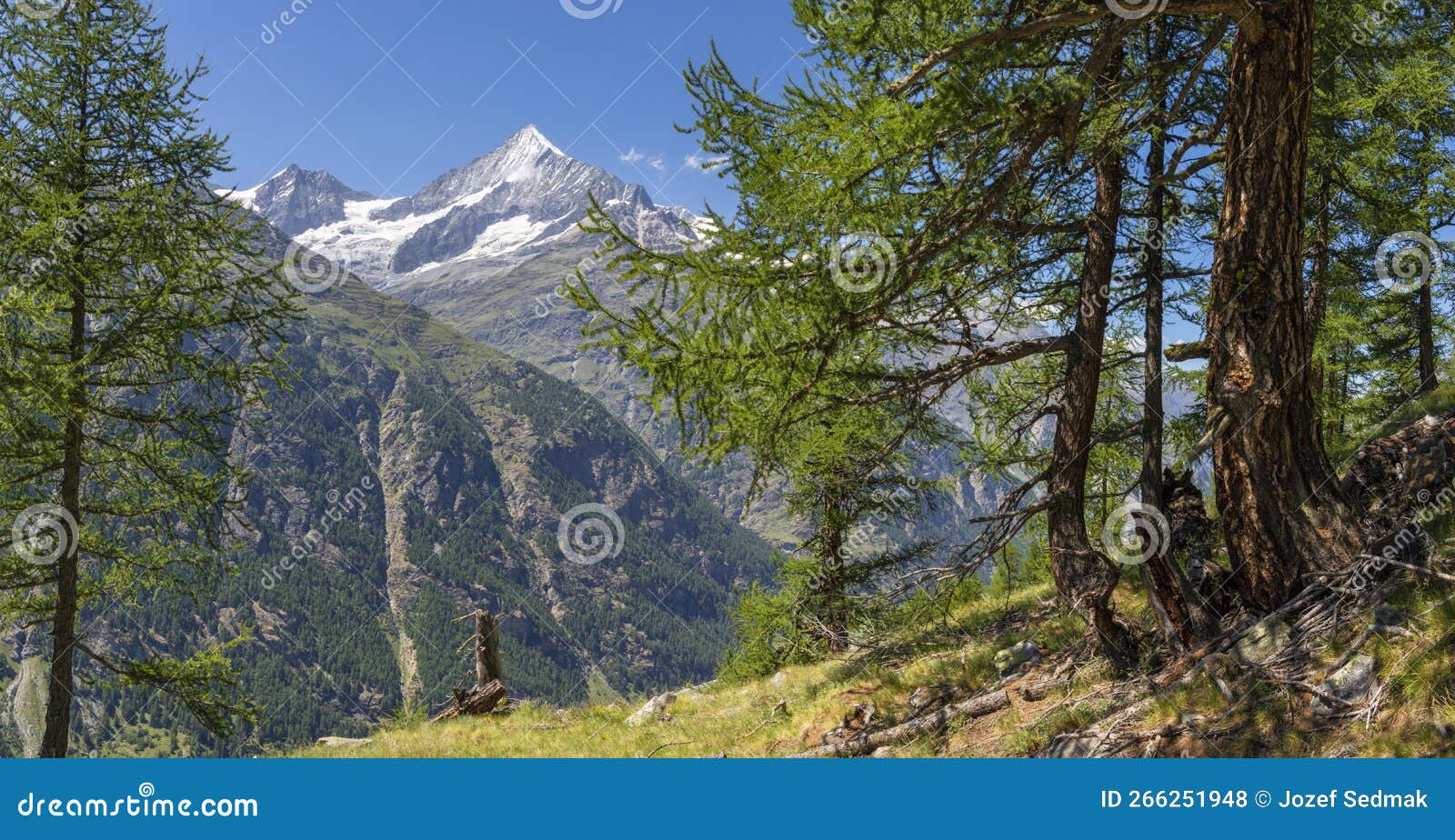 The Weisshorn Peak in Walliser Alps Over the Mattertal Valley Stock ...