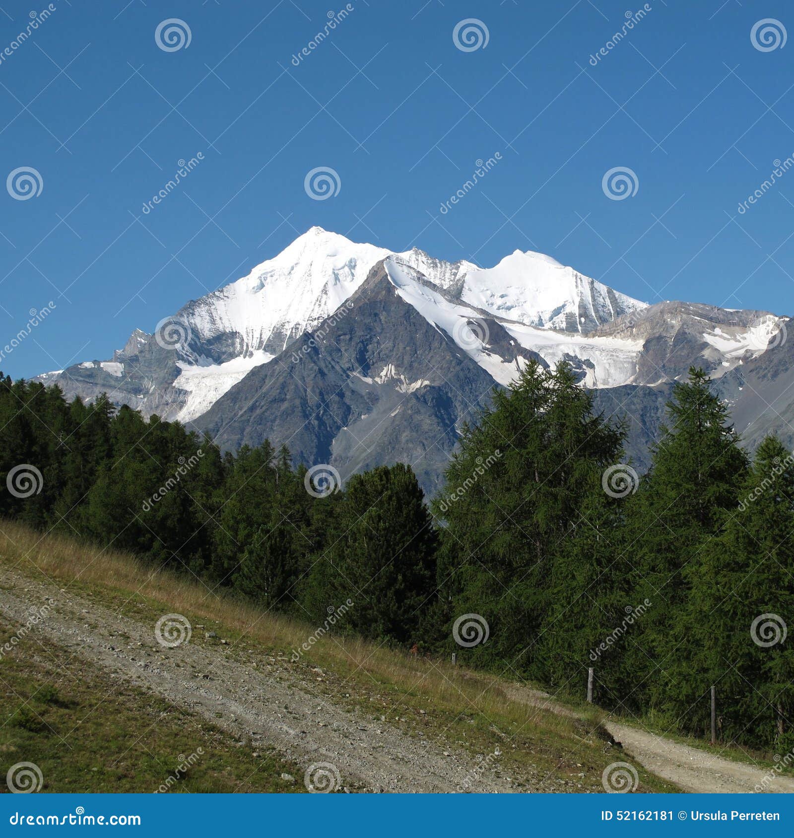 Weisshorn in summer stock image. Image of high, forest - 52162181