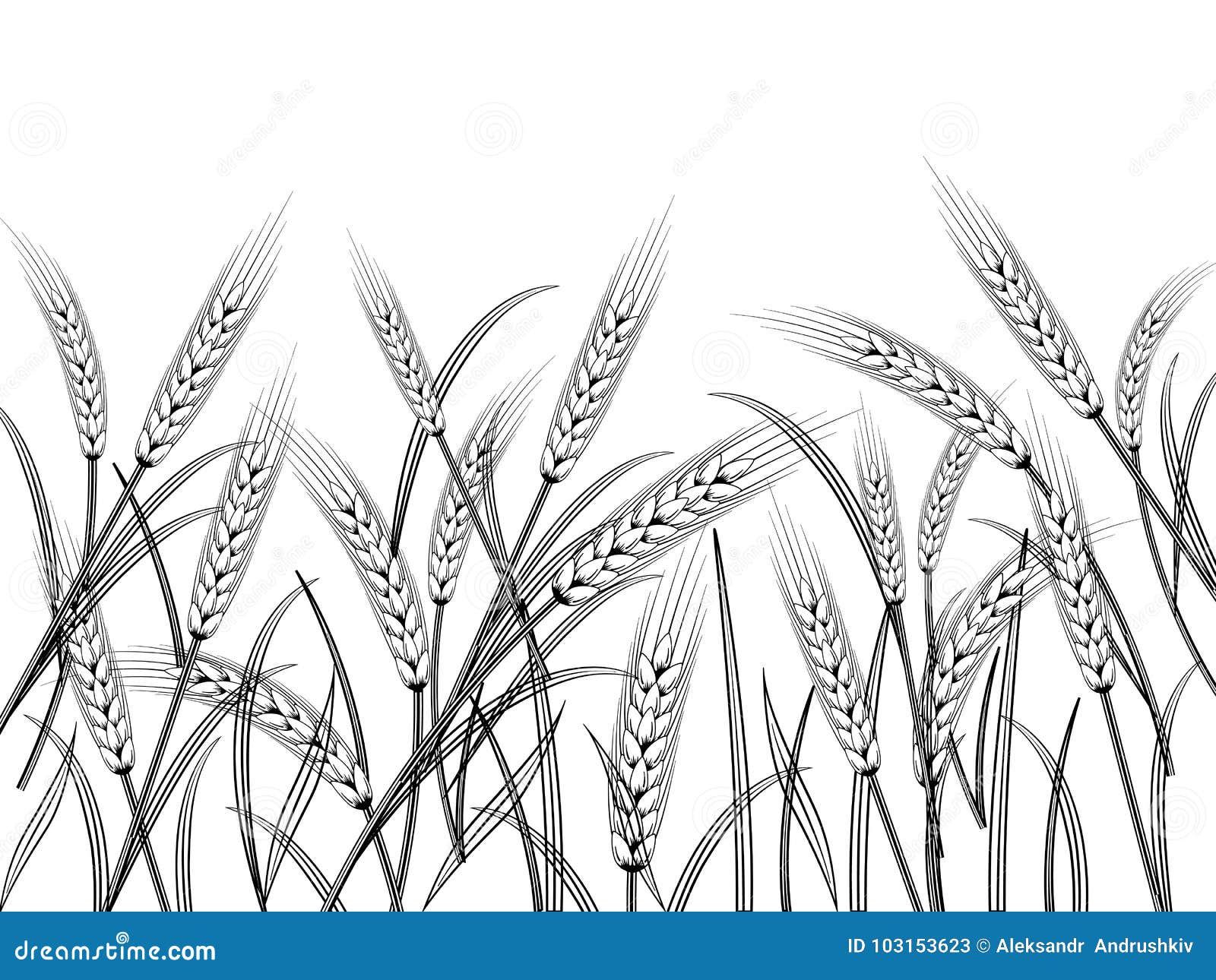 Weizen vektor abbildung. Illustration von frech, zeichnung - 103153623