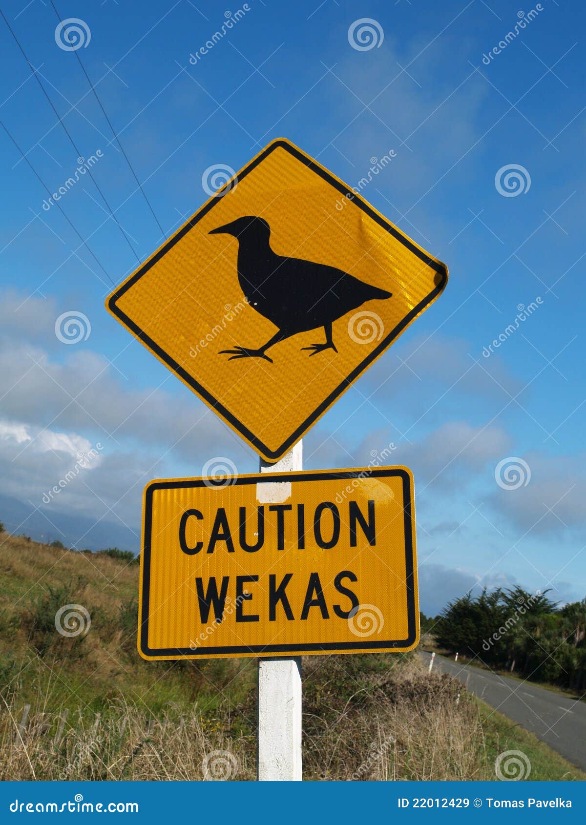 Weka caution sign stock image. Image of south, weka, caution - 22012429