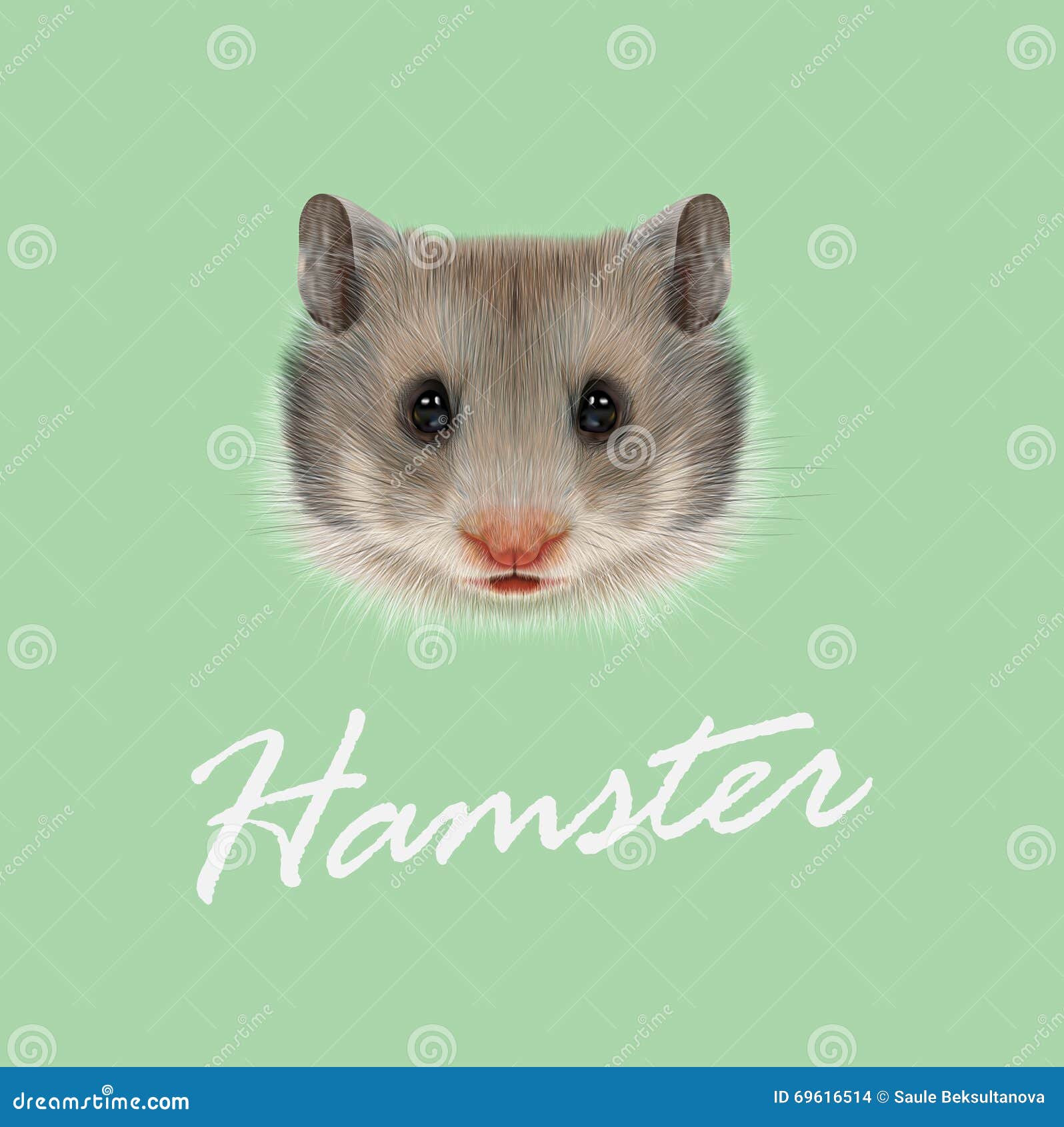 Wektoru Obrazkowy Portret Chomik Zdjęcie Stock - Obraz złożonej z ...