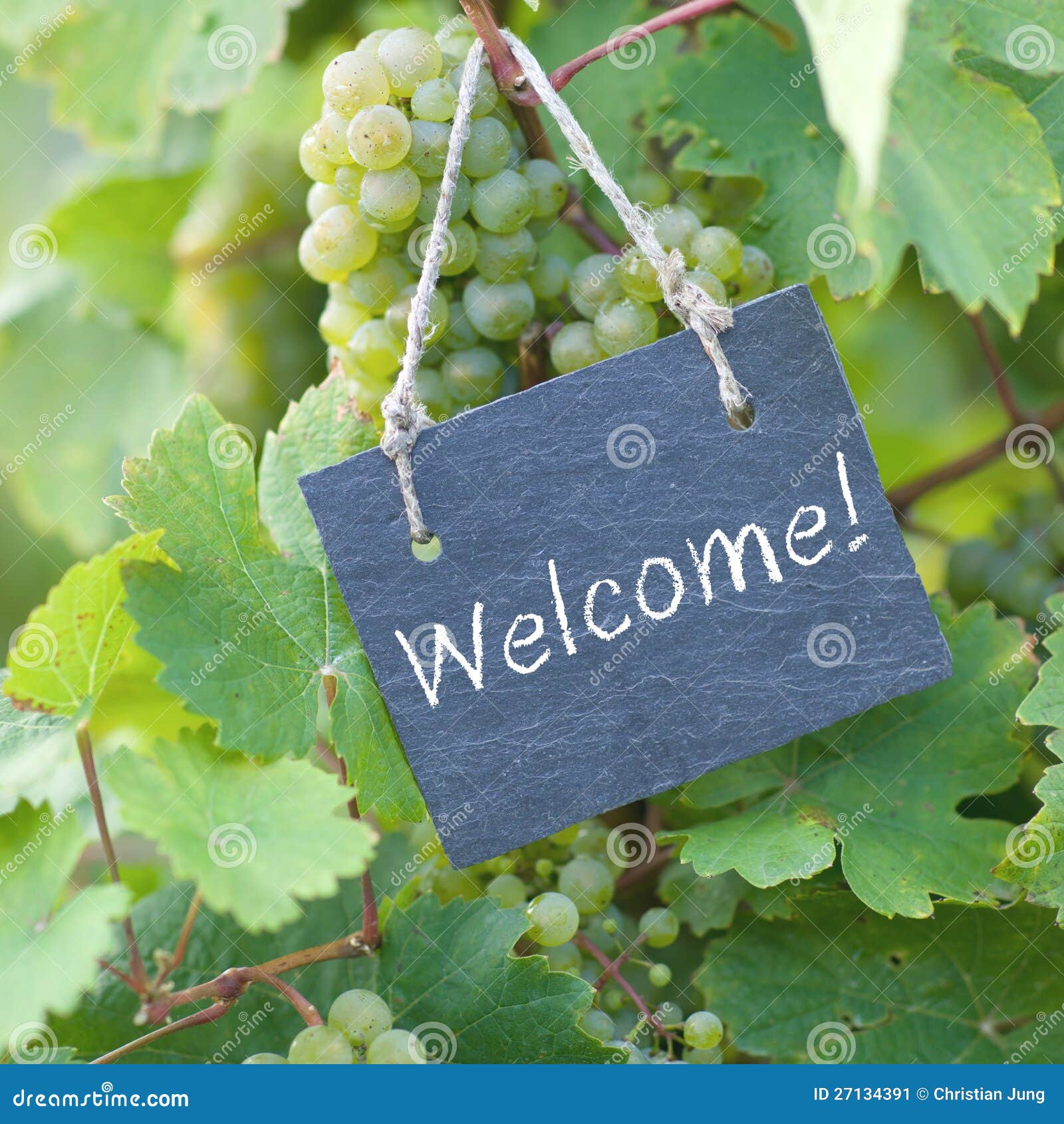Welcome stock image. Image of glass, label, cork, grapevine - 27134391