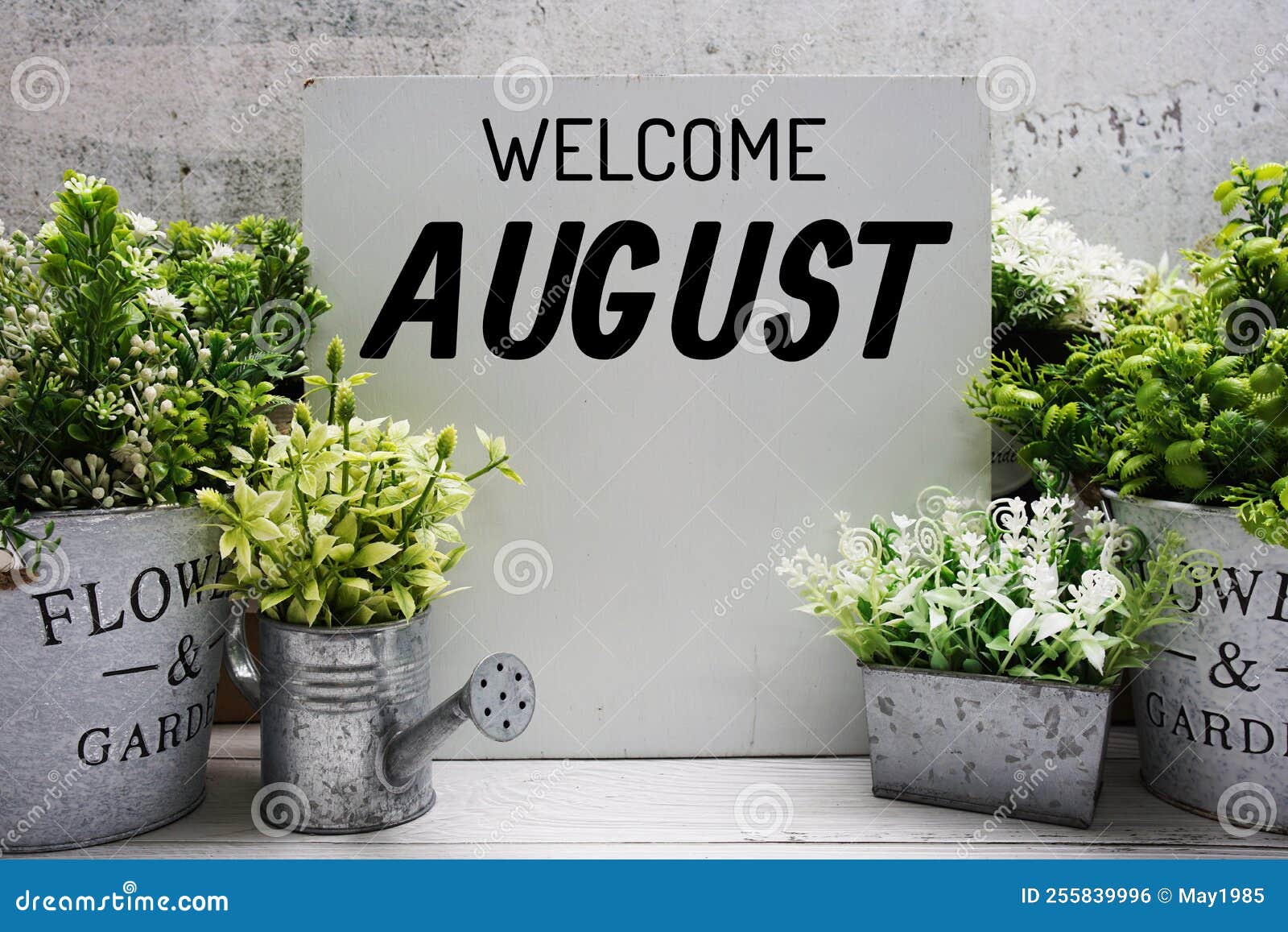 Welcome August Text Message with Artificial Plant Decoration on Wooden ...