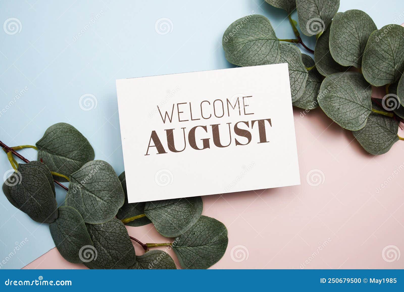 Welcome August Text Message with Green Leave on Blue and Pink ...