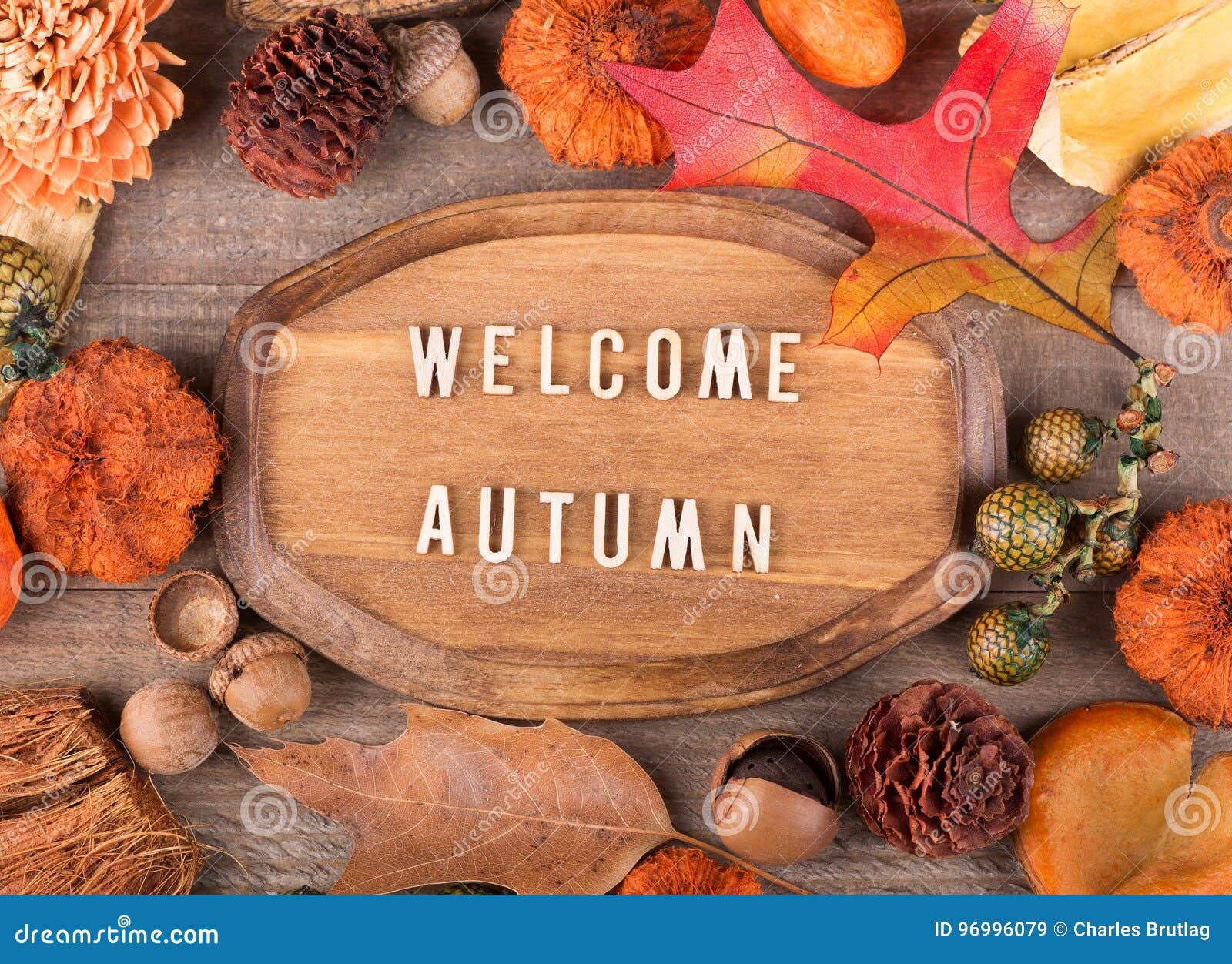 Welcome Autumn Plaque stock image. Image of fall, cone - 96996079