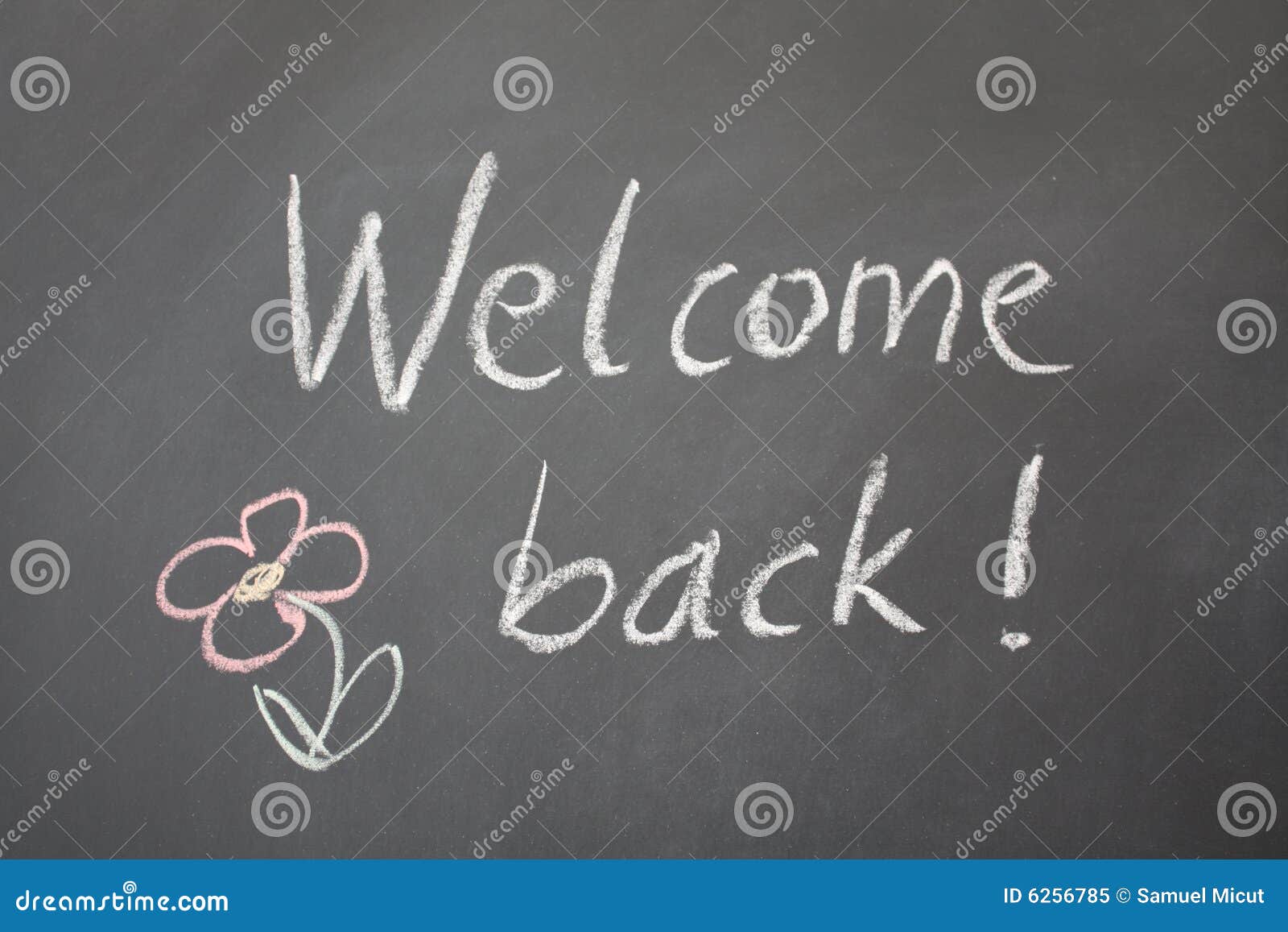 Welcome Back Beauty Salon Business Background With Pink Monochromatic ...