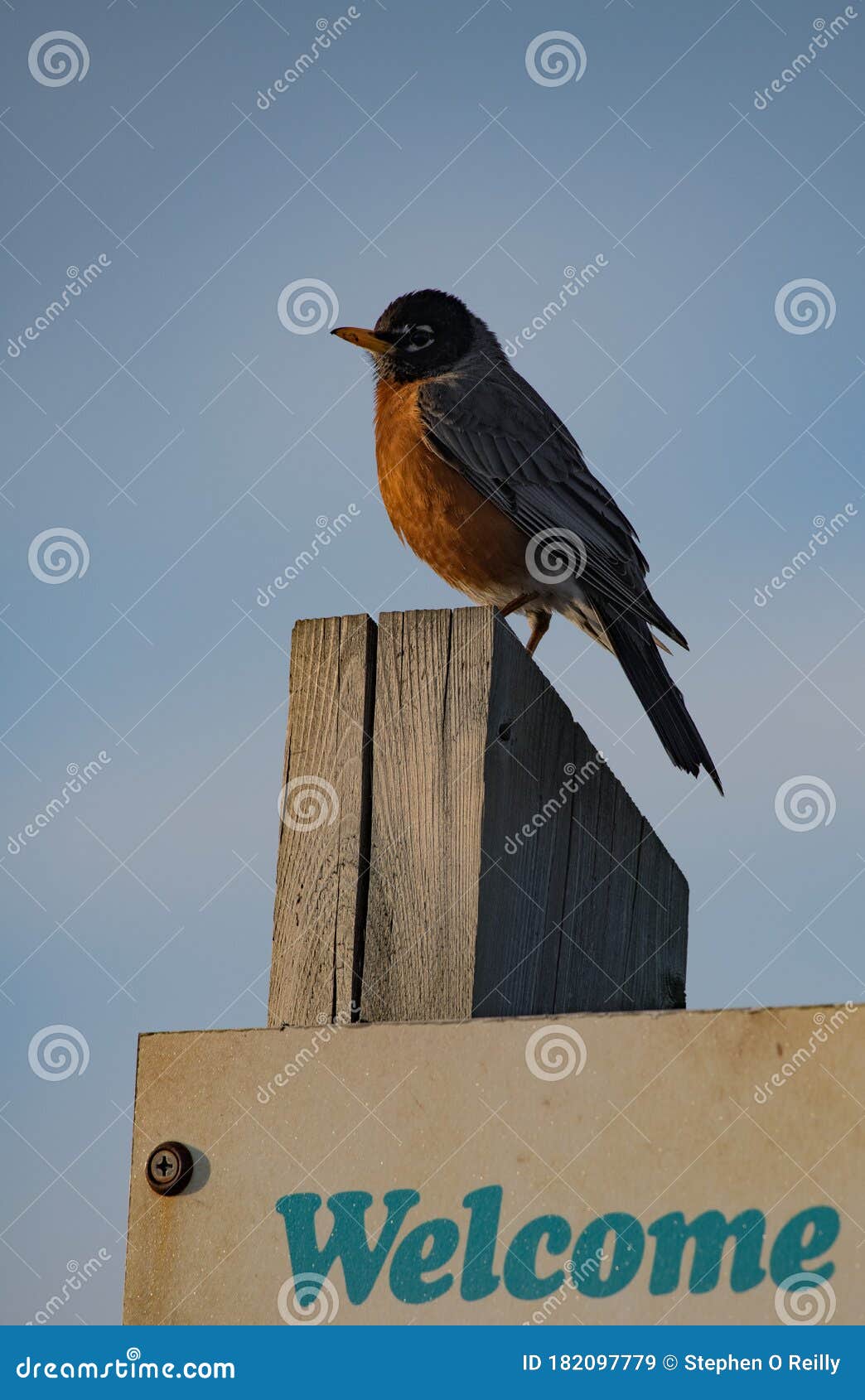 Welcome Back To Canada for the Summer Stock Image - Image of edmonton ...