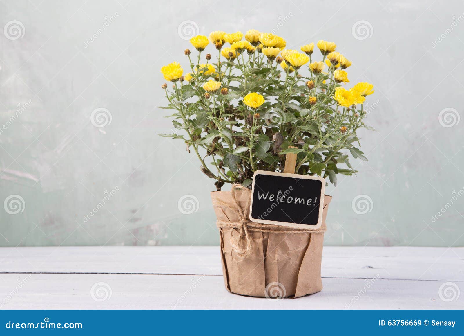 Welcome - Beautiful Flowers in Pot with Message Card Stock Image ...