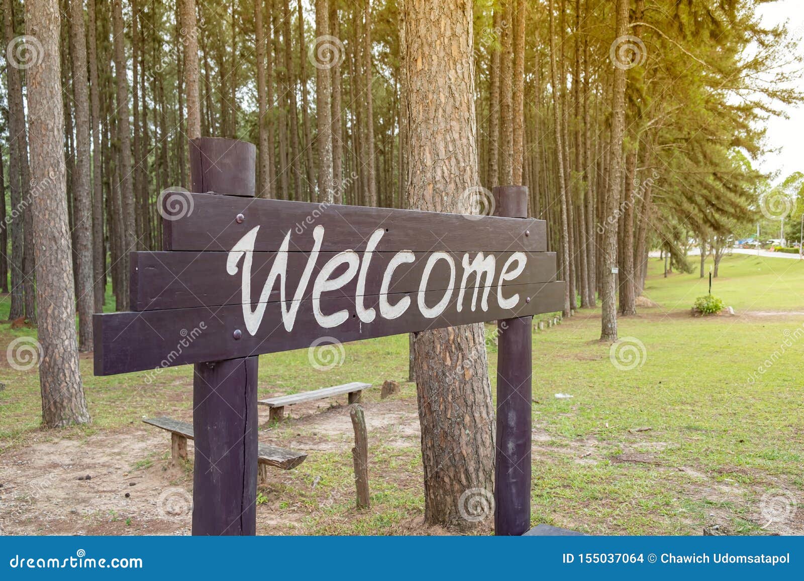 Welcome Board Made of Wooden Stock Photo - Image of forest, board ...