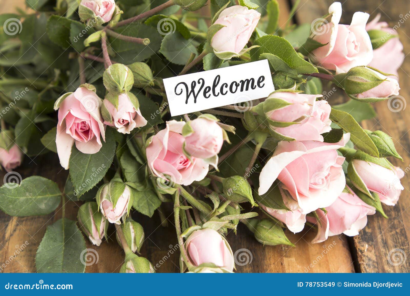 Welcome Card with Bouquet of Pink Roses Stock Image - Image of greeting ...