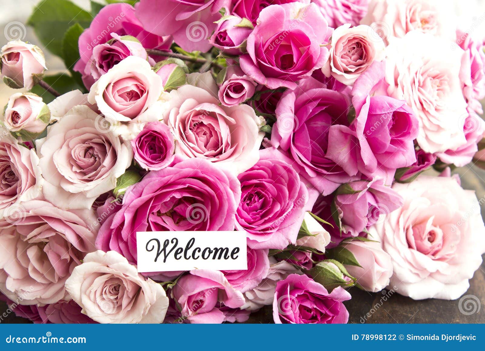 Welcome Card with Bouquet of Pink Roses Stock Photo - Image of greeting ...