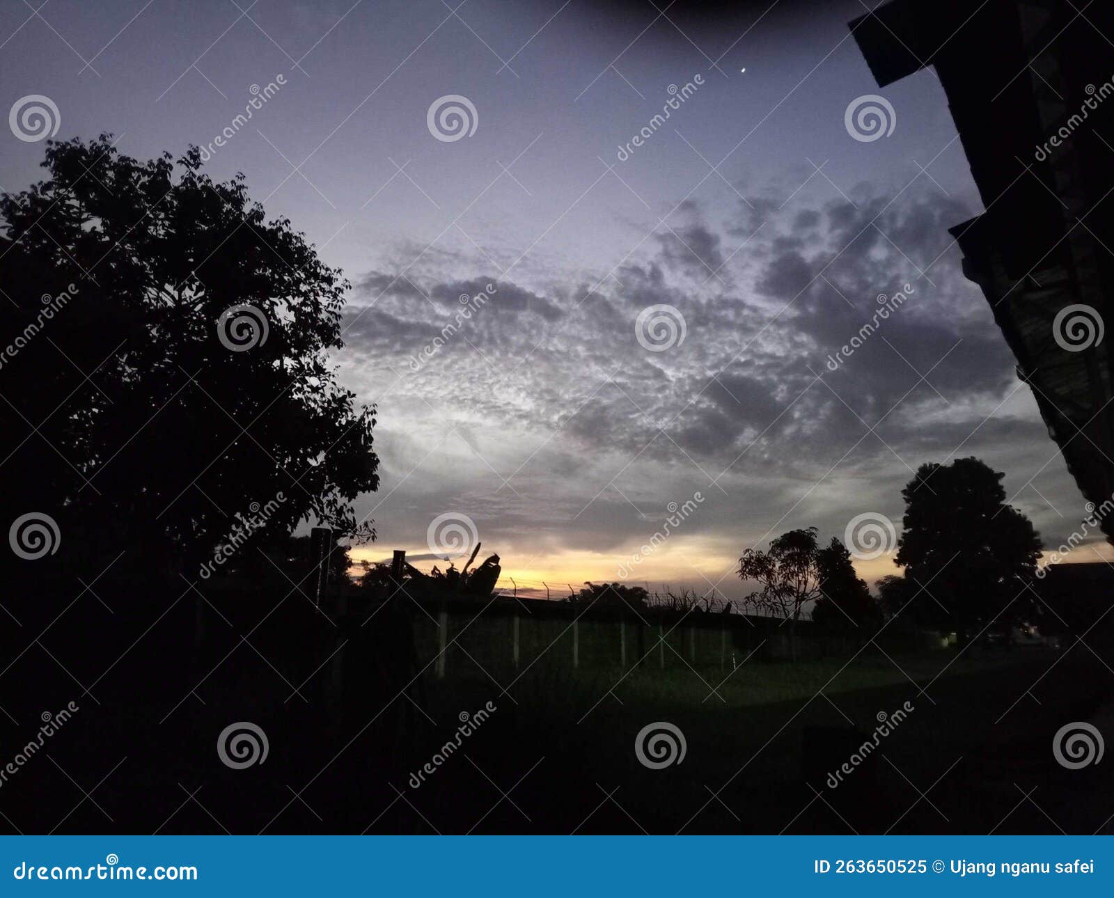 Welcome the Dawn of the Morning Stock Image - Image of dawn, tree ...