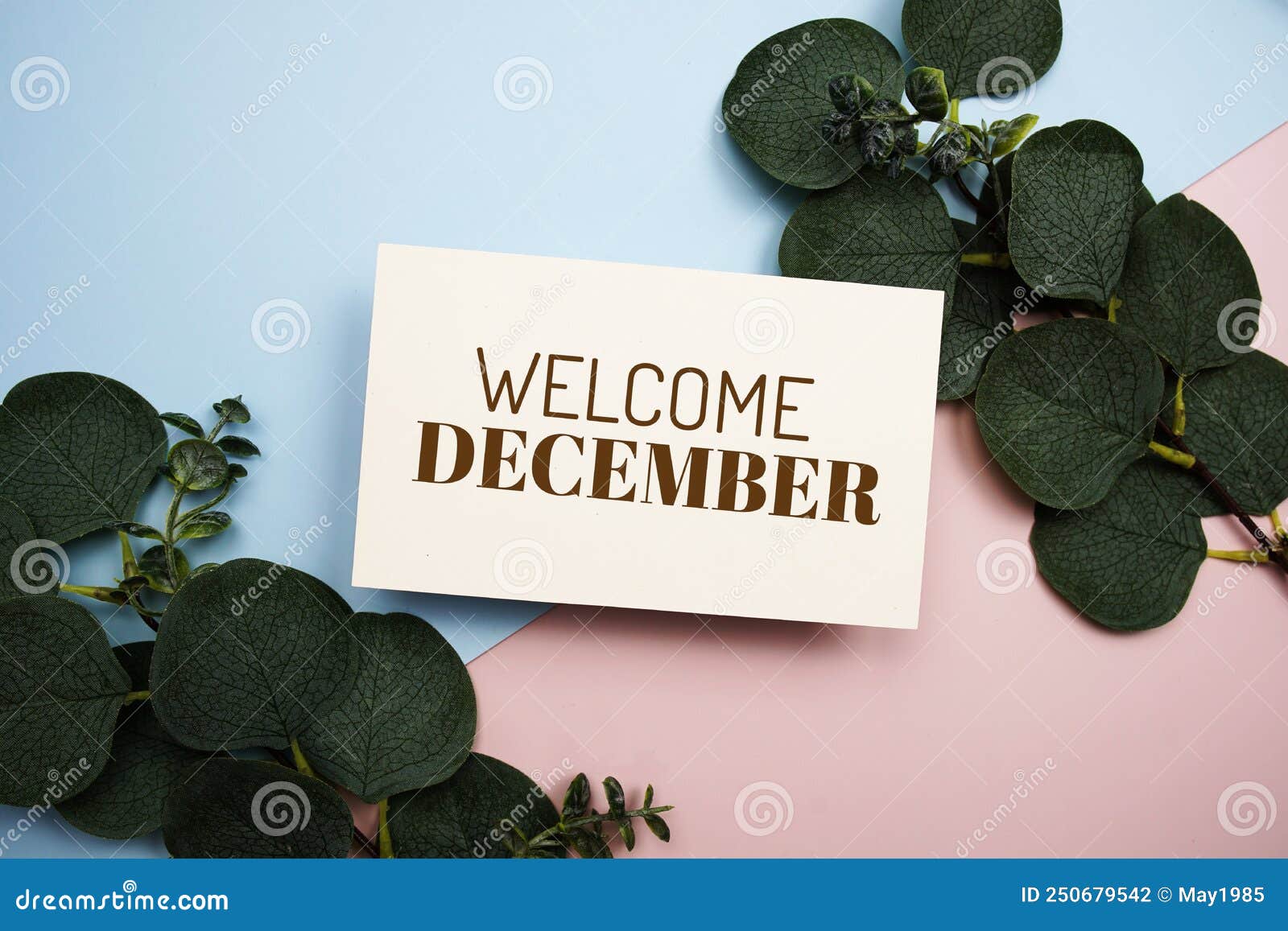 Welcome December Text Message with Green Leave on Blue and Pink ...