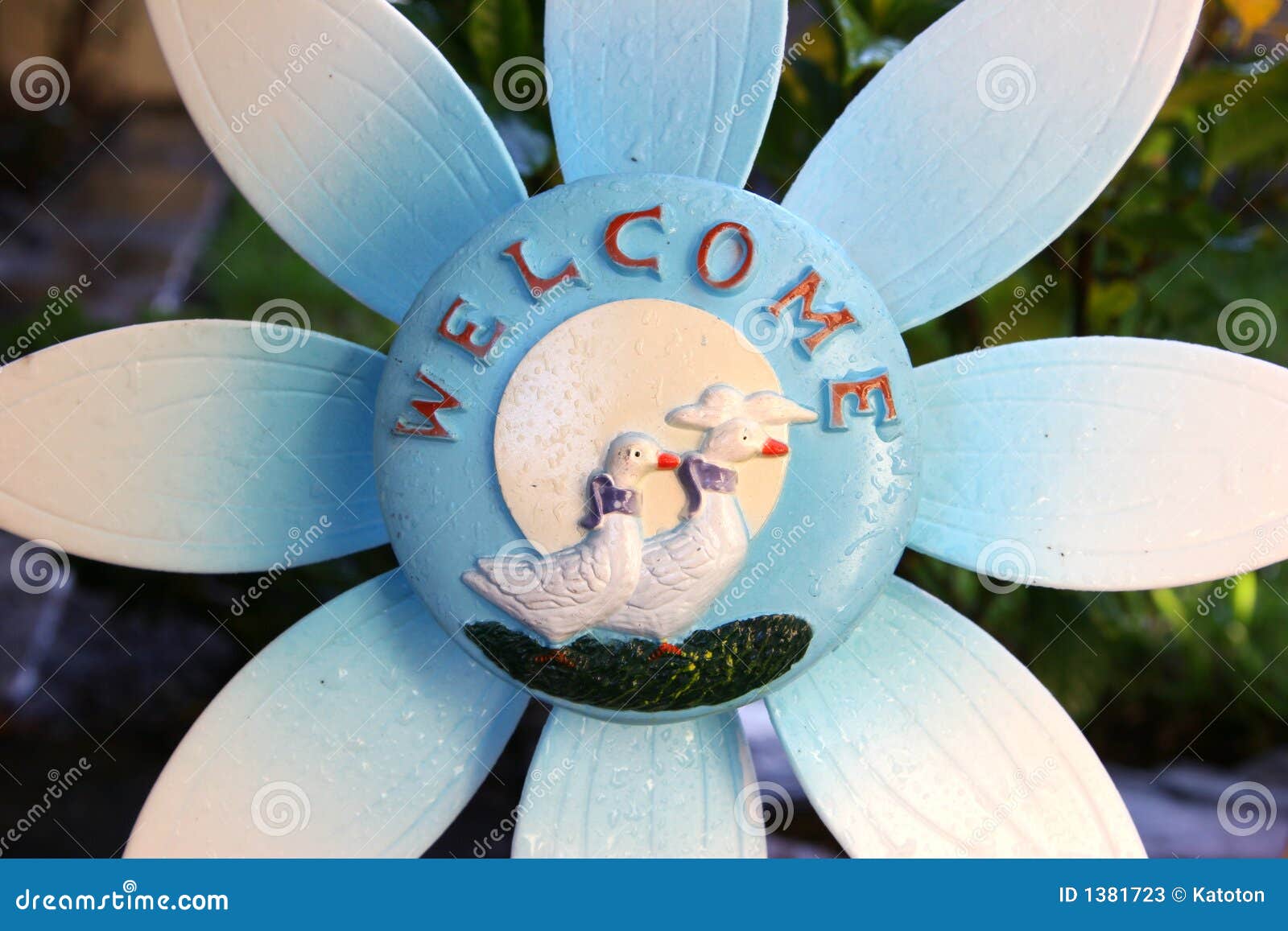 Welcome flower stock image. Image of petals, florist, countryside - 1381723