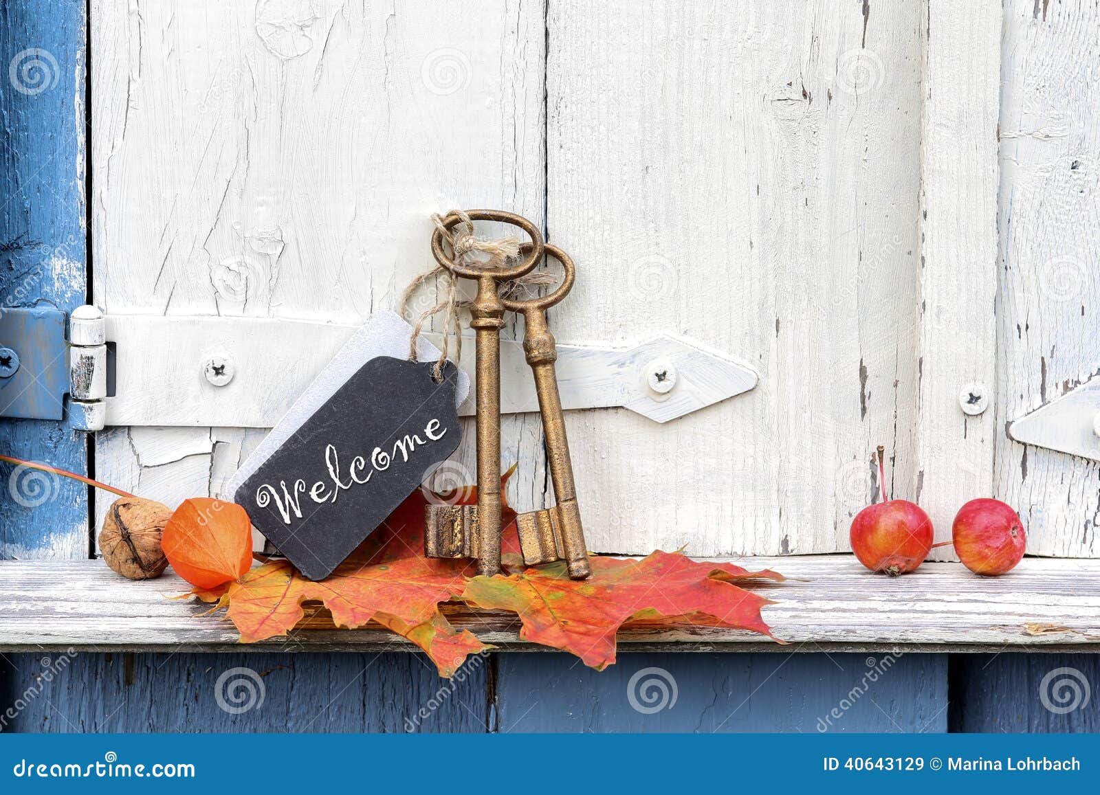 Welcome at home, keys stock image. Image of foliage, dream - 40643129