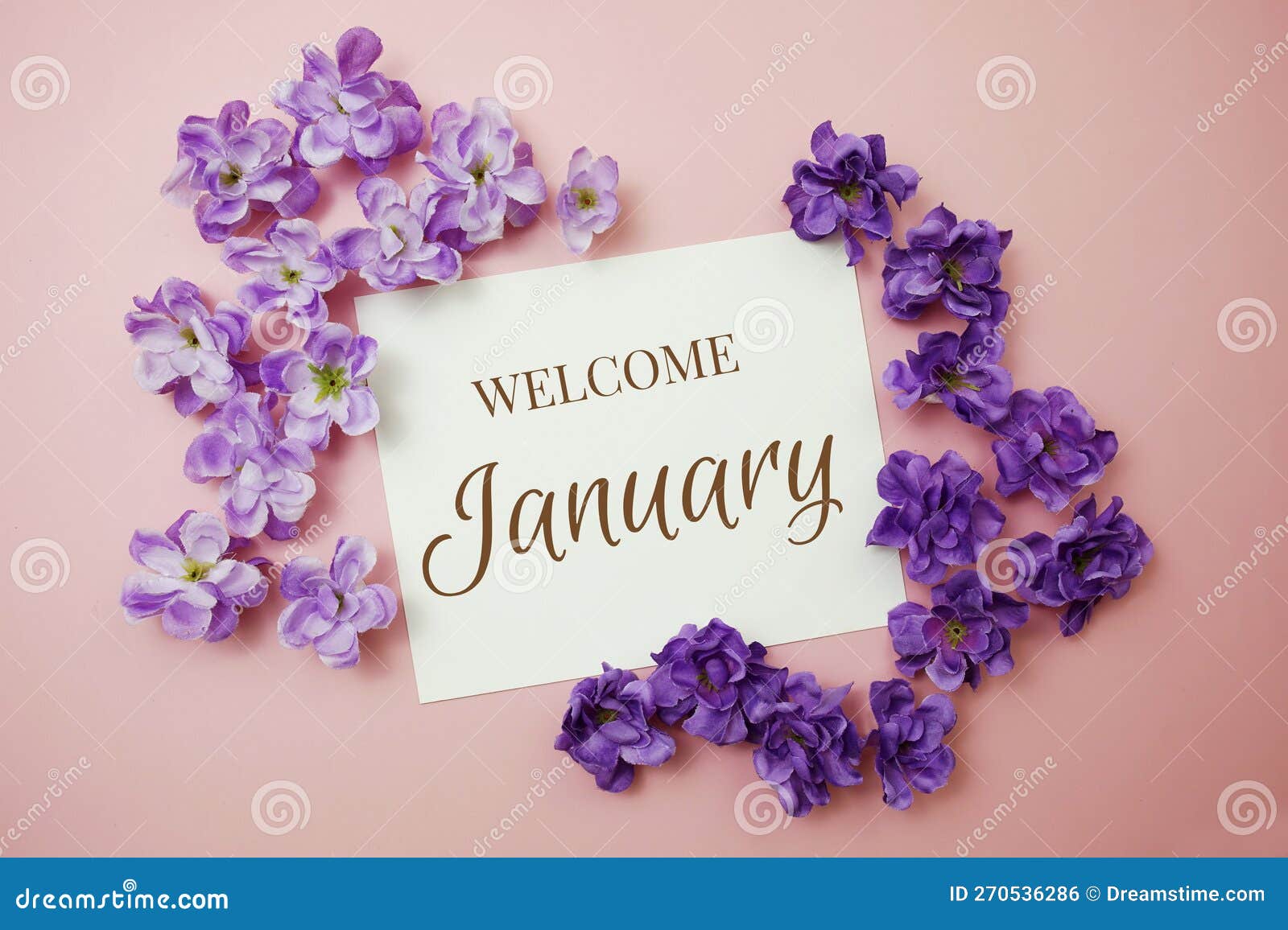 Welcome January Card Typography Text with Flower on Pink Background ...