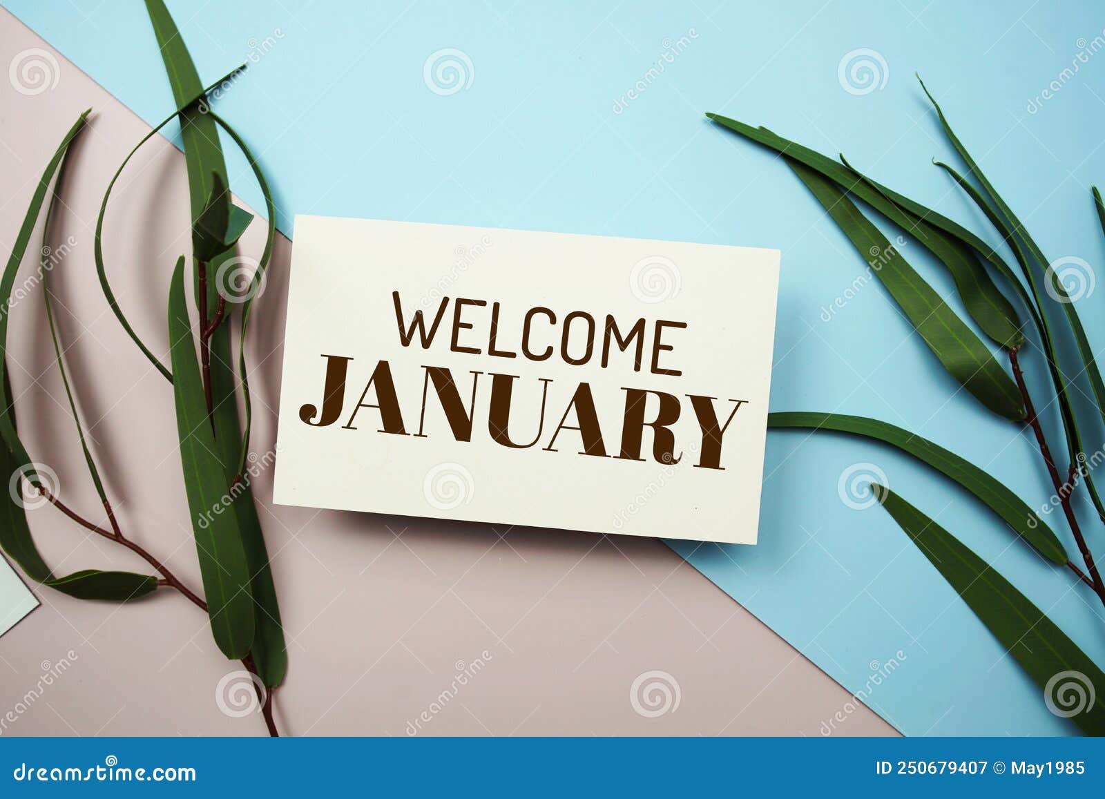 Welcome January Written On Paper Card With Flower Frame Decoraton On ...
