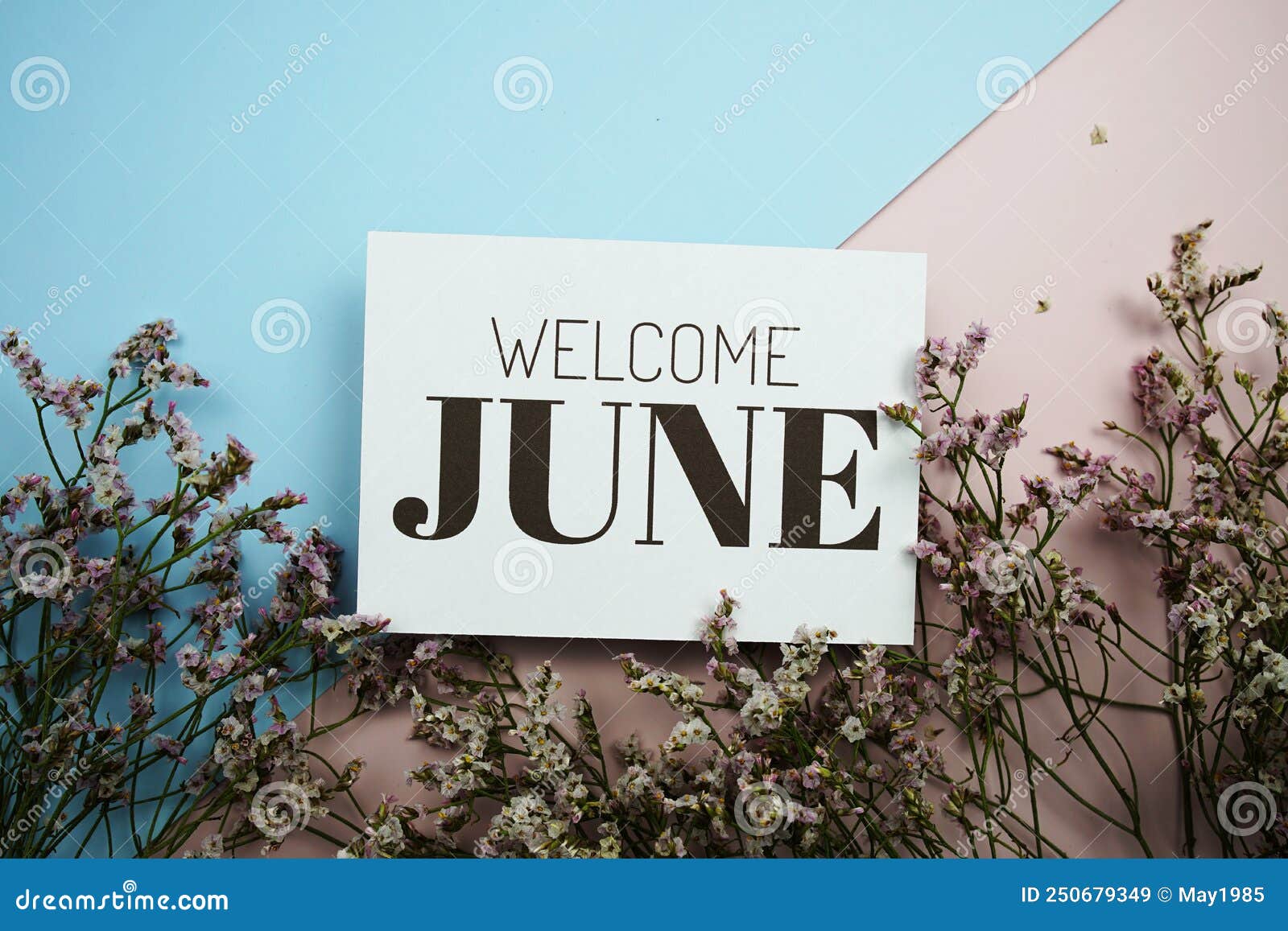 Welcome June Text Message with Green Leave on Blue and Pink Background ...
