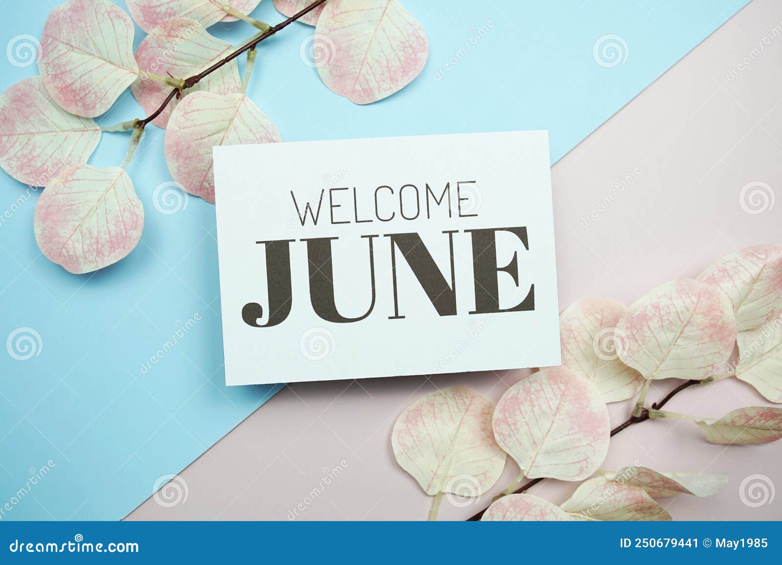 Welcome June Text Message with Green Leave on Blue and Pink Background ...